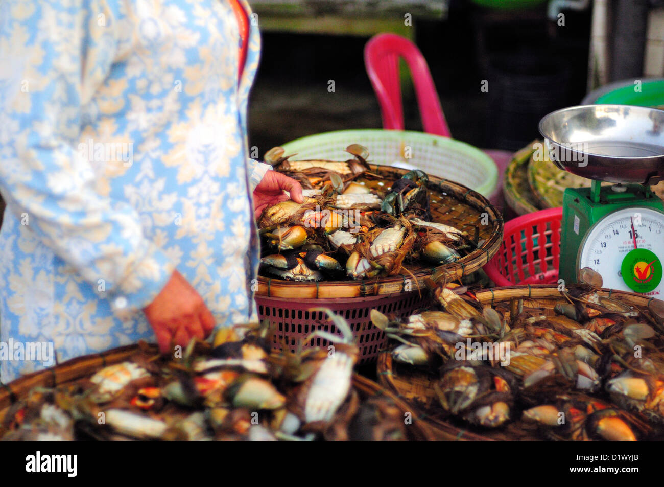 Vietnam, Hoi An, shoppers and vendors at morning fish market, Asia ...