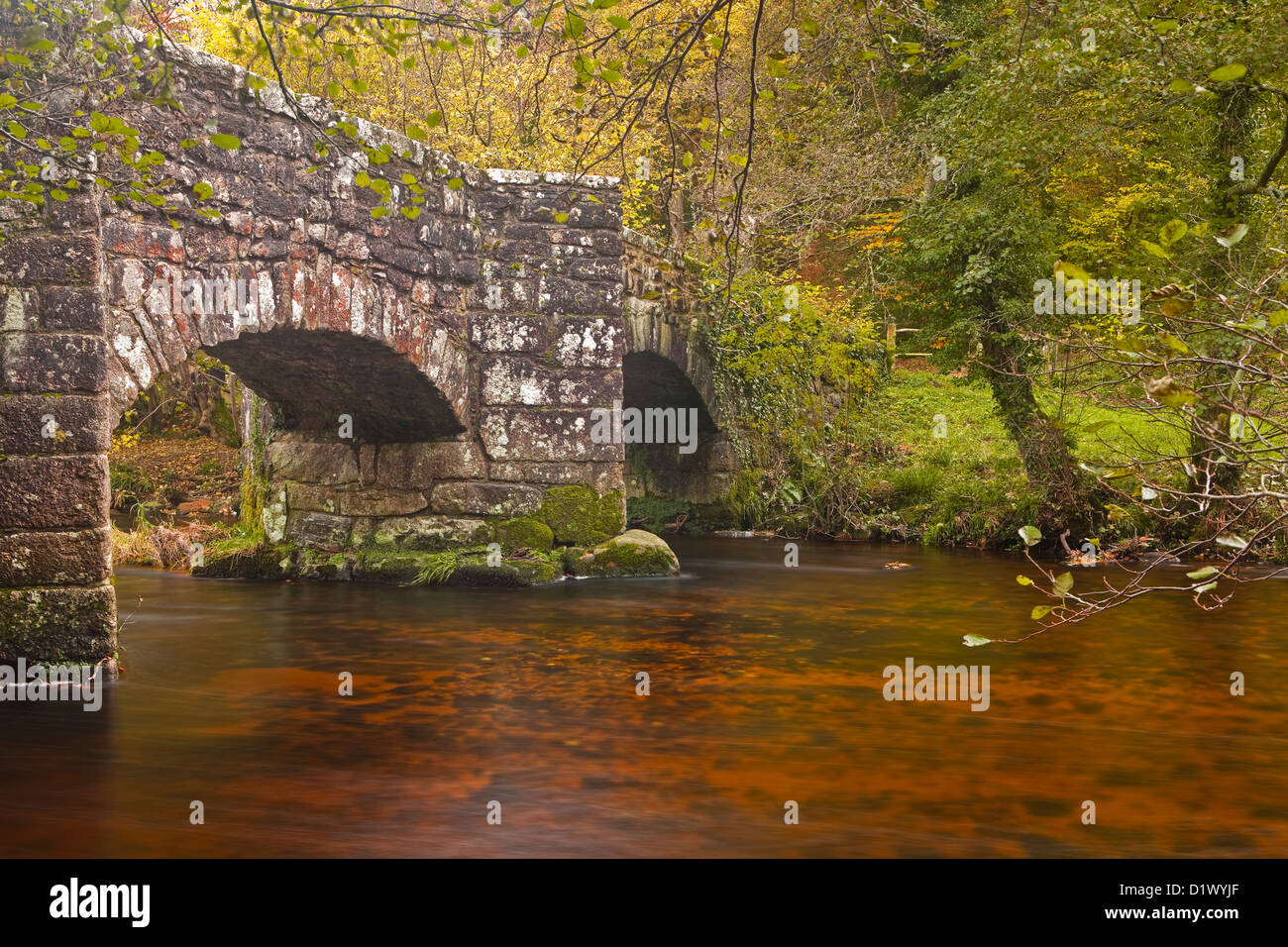 The river Teign flowing under Fingle Bridge in Dartmoor Stock Photo - Alamy