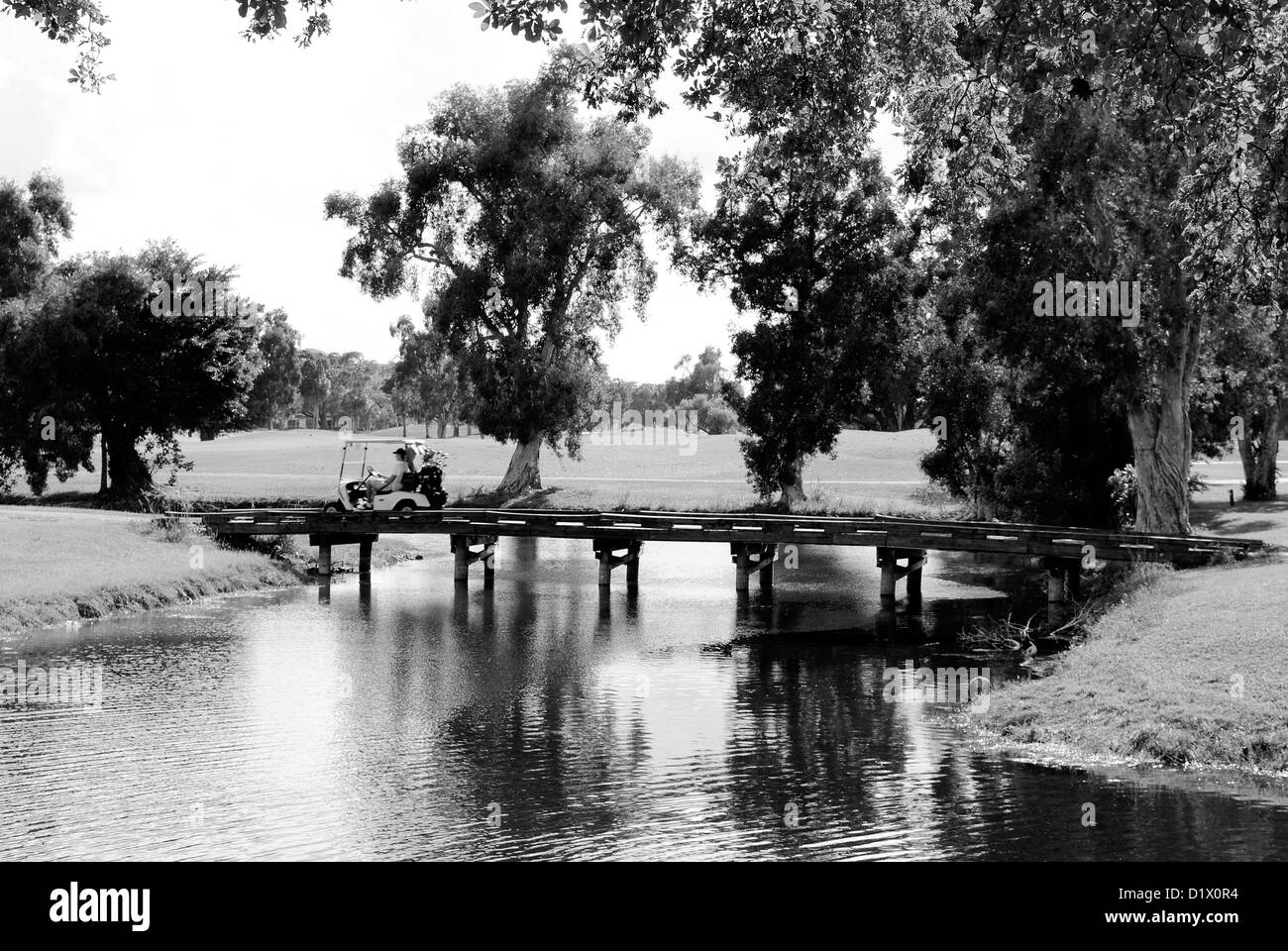 Golf Course Black And White