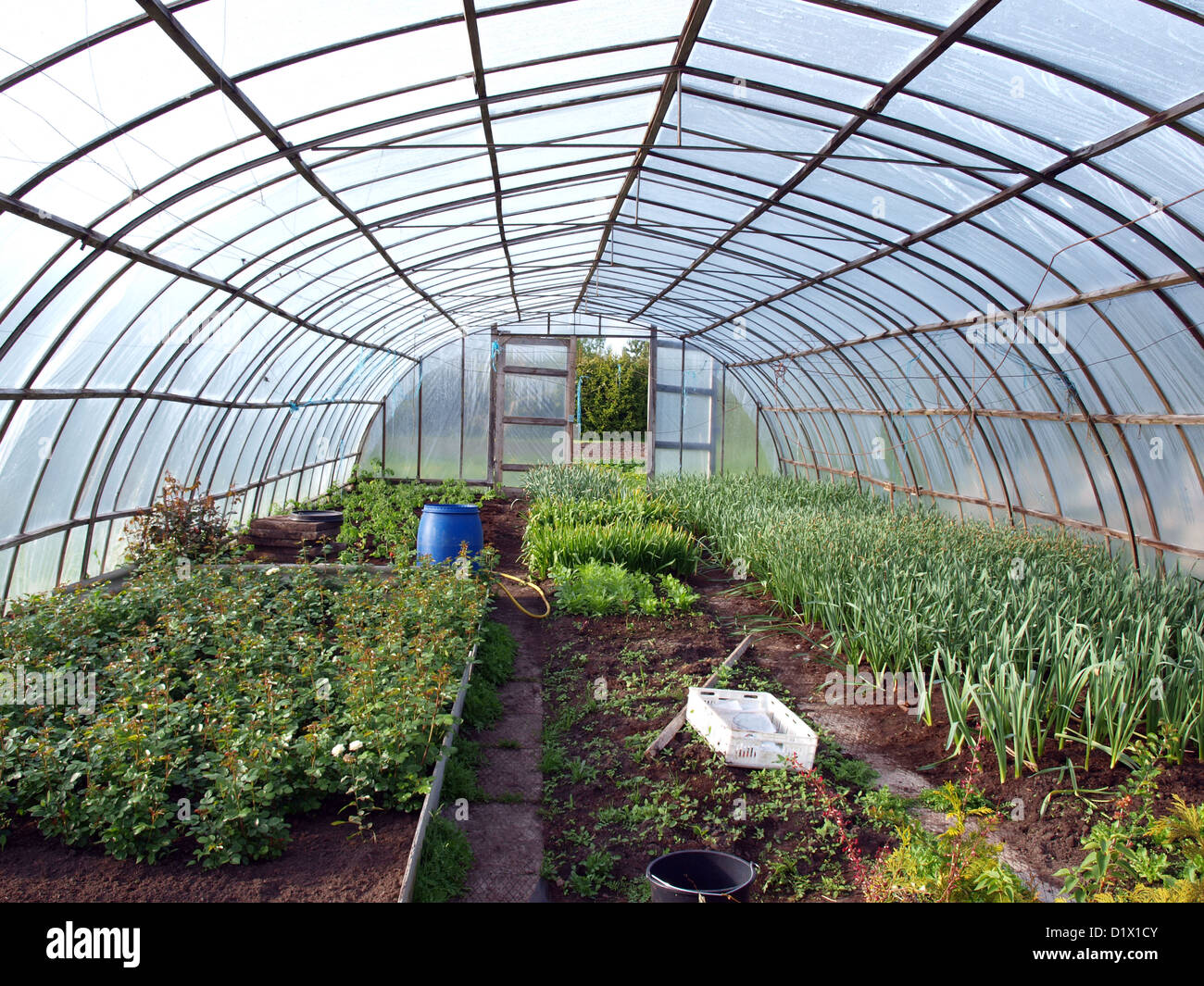 Plastic Greenhouse Stock Photos & Plastic Greenhouse Stock Images - Alamy