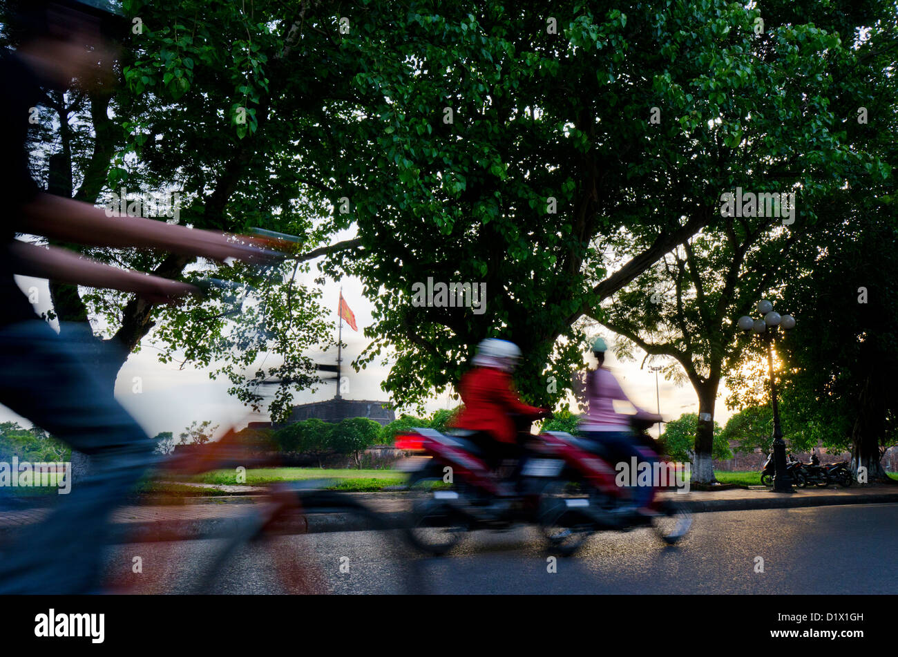 Bicycle and Motorbikes Driving Past Trees, Hue, Vietnam Stock Photo - Alamy