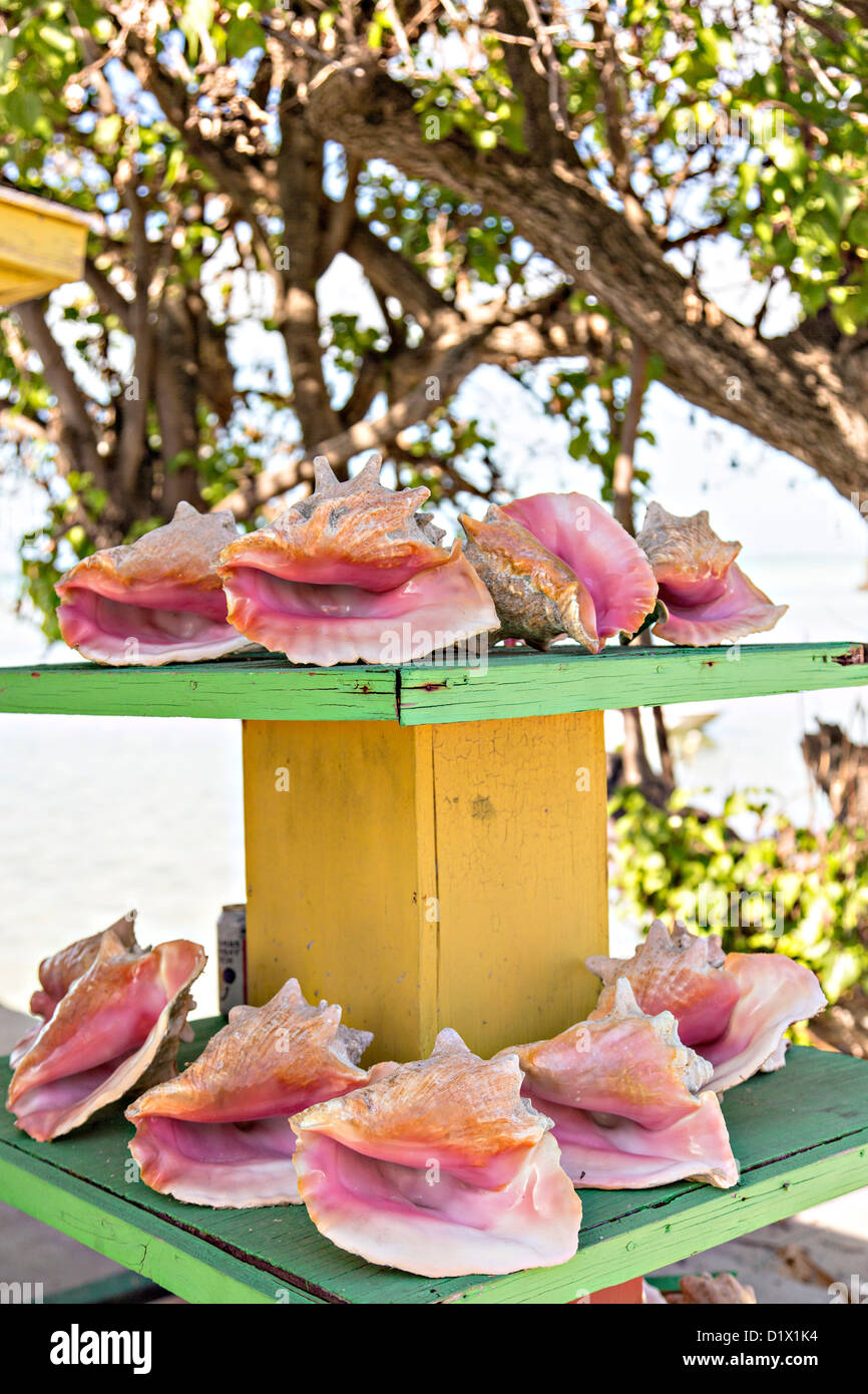 Beach side shell shop in Dunmore Town, Harbour Island, The Bahamas ...