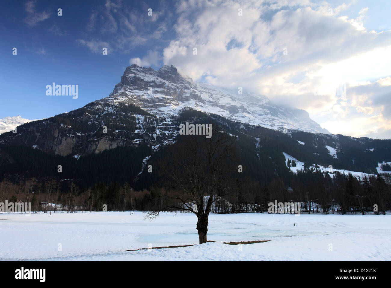 Winter snow, North face Eiger Mountain, Grindelwald Ski resort; Swiss ...
