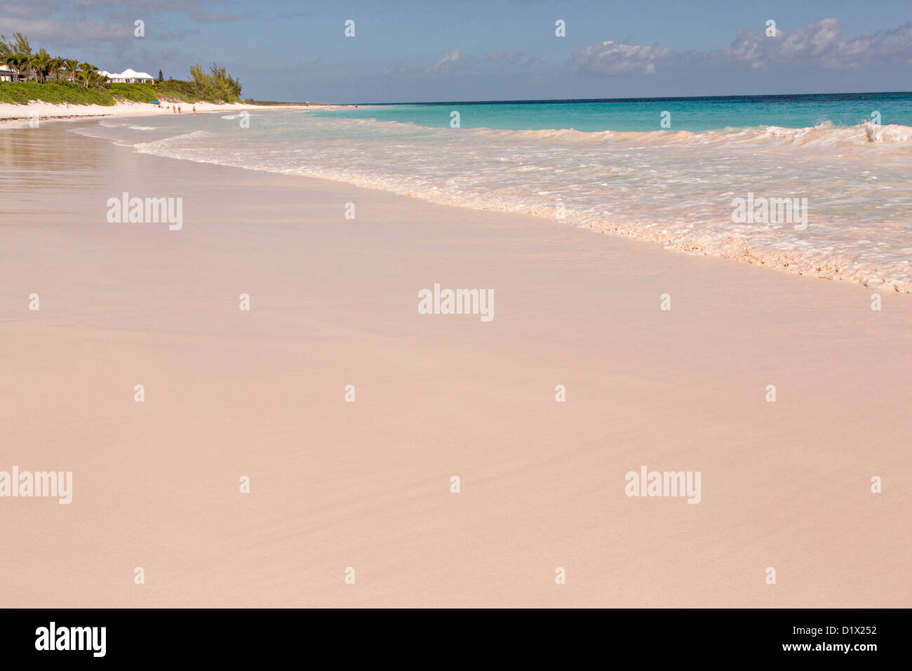 Pink Sand Beach Bahamas High Resolution Stock Photography and Images ...