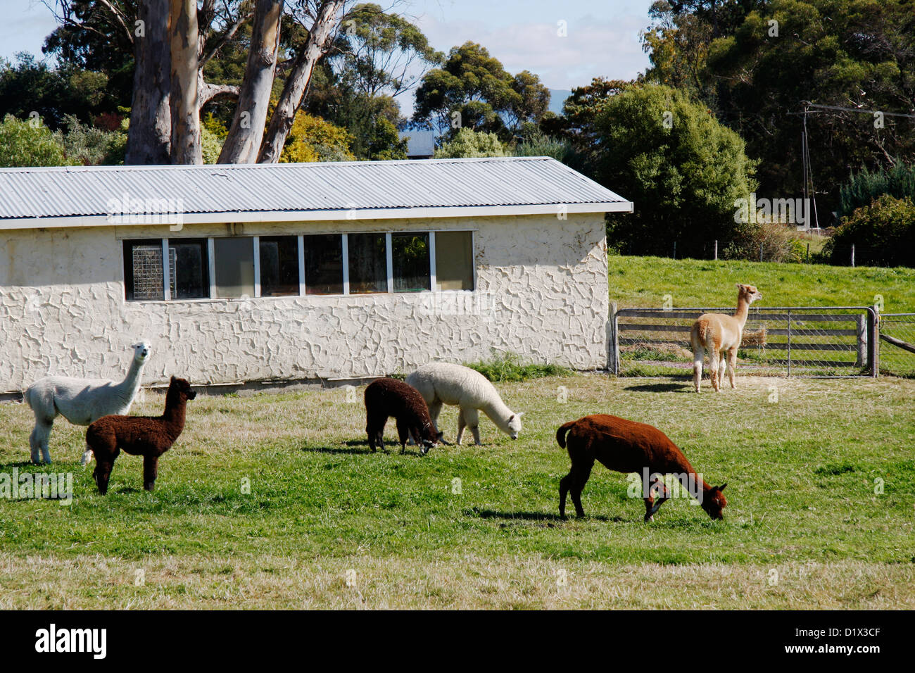 Port nelson new zealand hi-res stock photography and images - Alamy