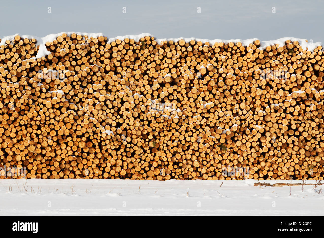 Logging in minnesota hi-res stock photography and images - Alamy