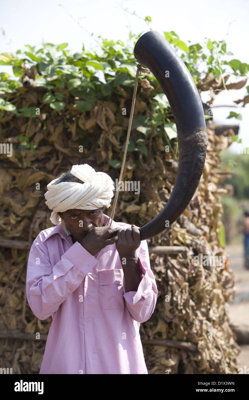 Tutari hi-res stock photography and images - Alamy