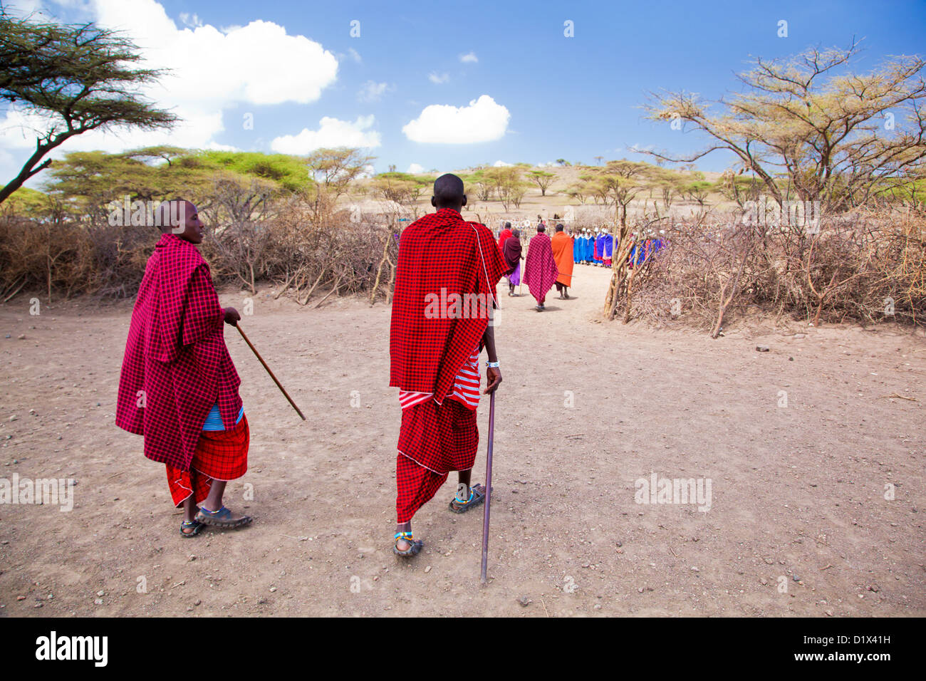 A group of Maasai people in traditional clothes in front of their ...
