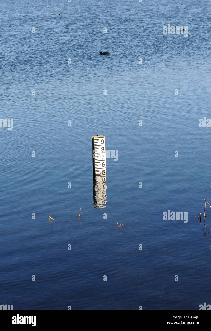 Water depth gauge measure hi-res stock photography and images - Alamy