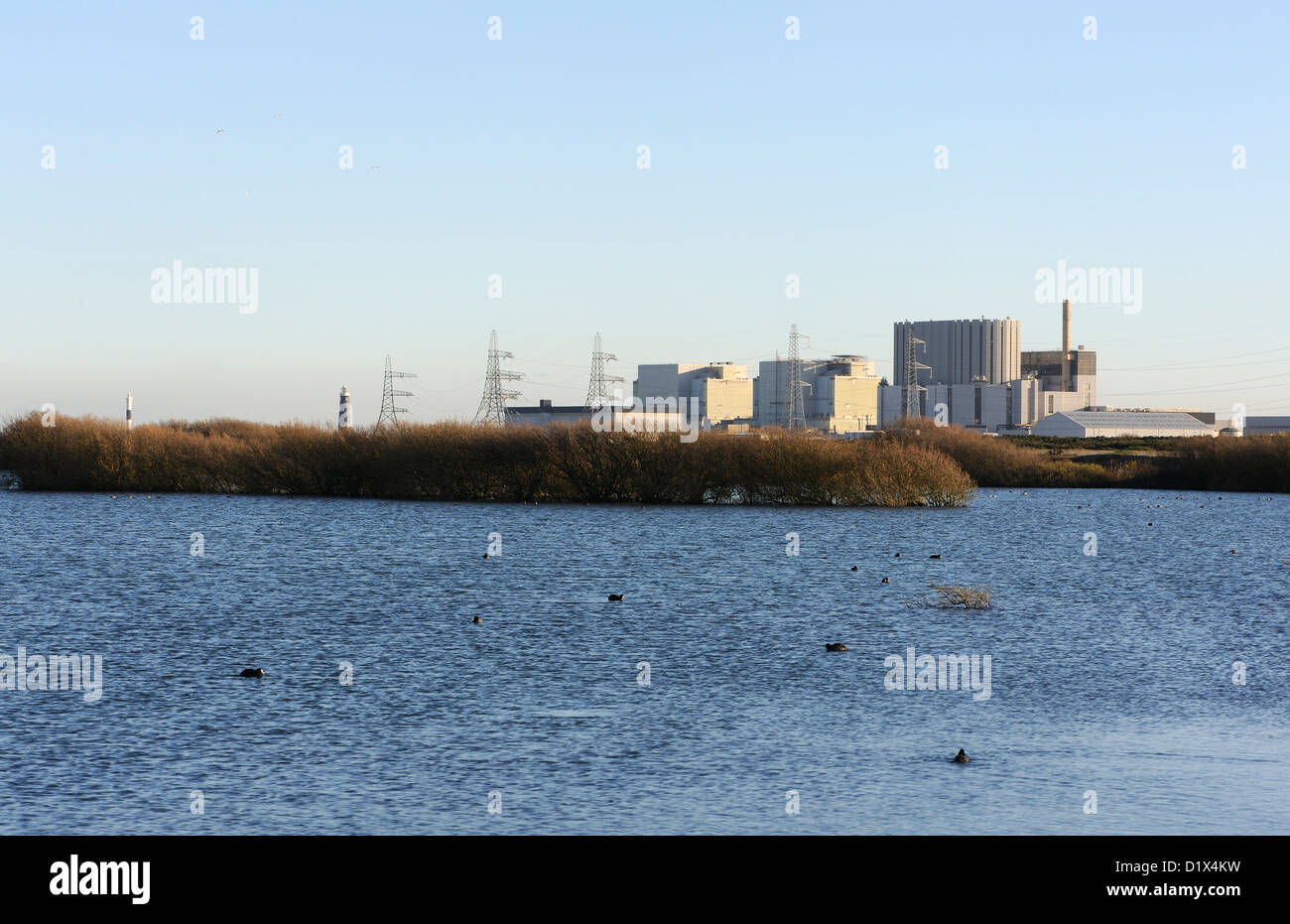 Dungeness nuclear power station. From the RSPB Dungeness Reserve. Coots ...