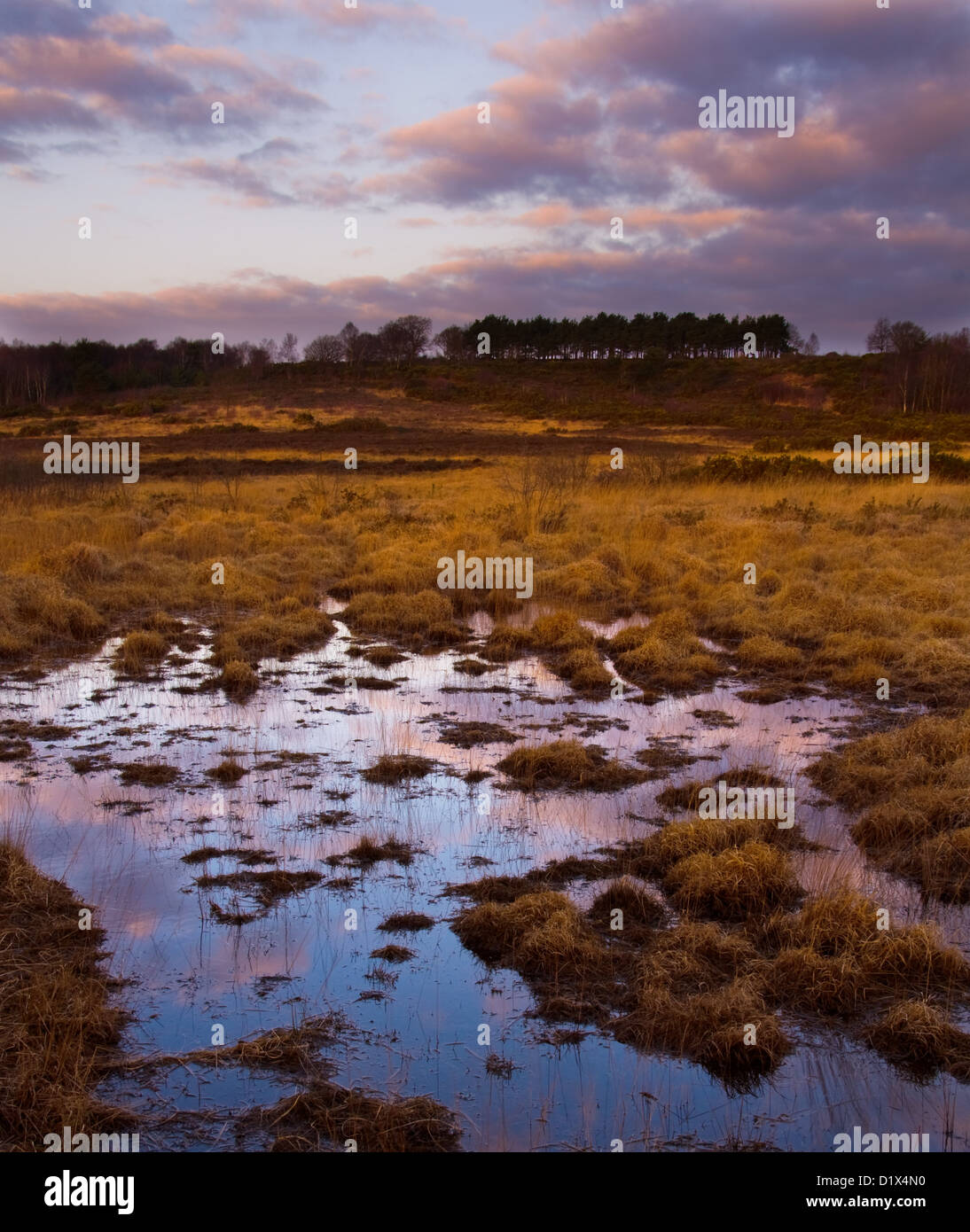 Stormy heathland hi-res stock photography and images - Alamy
