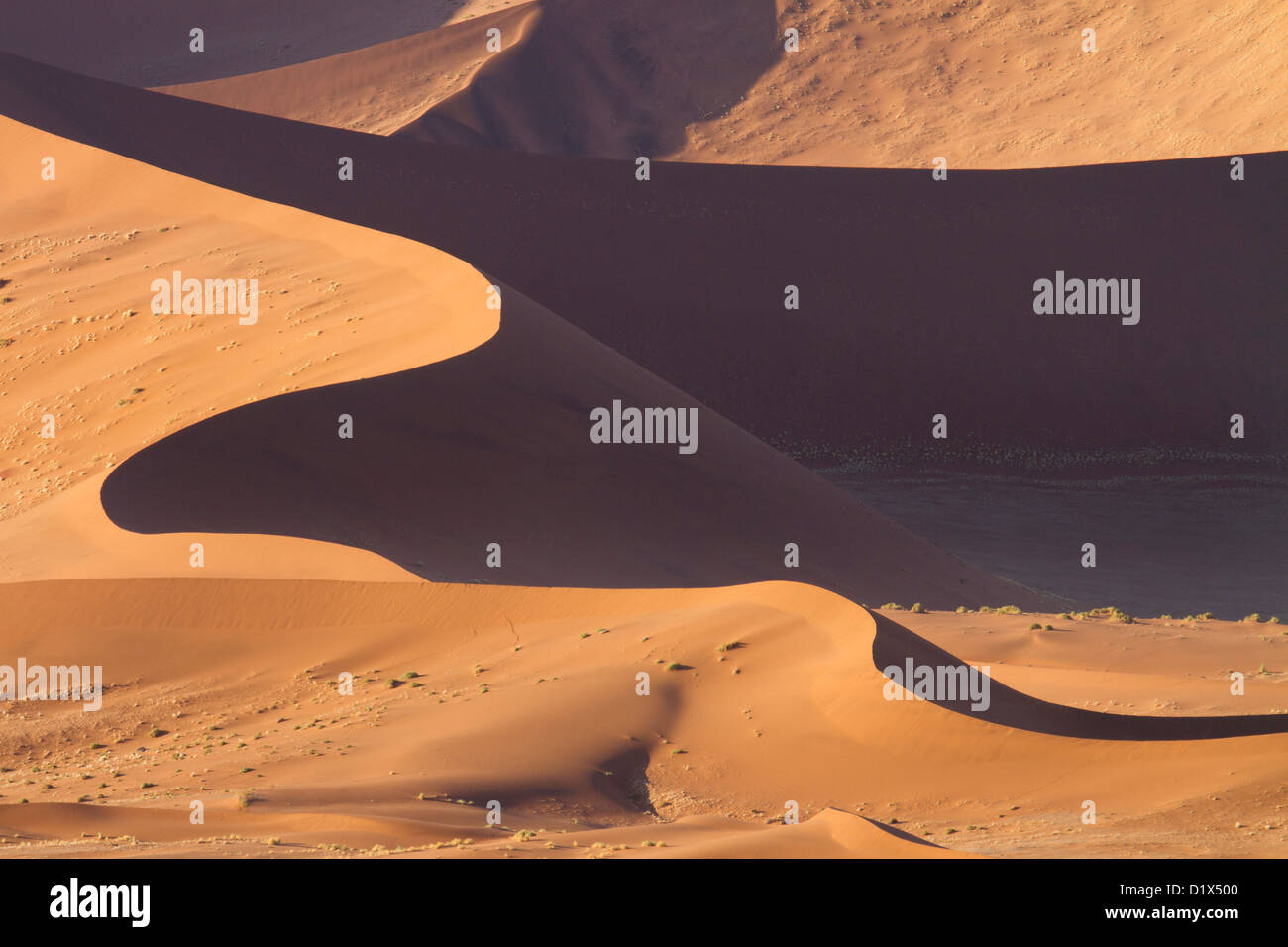 Namib desert trekking hi-res stock photography and images - Alamy
