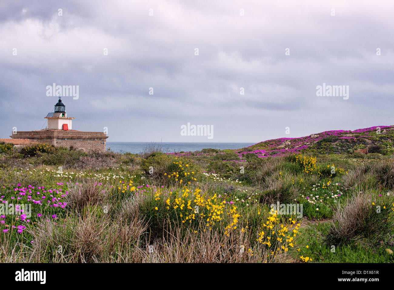 Lighthouse surrounded by a field of pink and yellow flowers ...