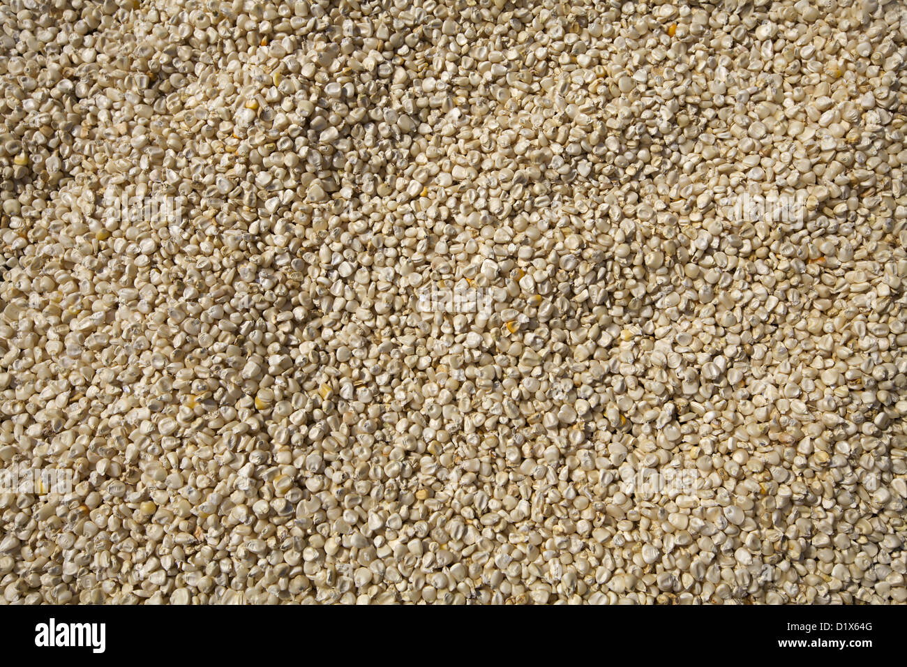 Khalwa hi-res stock photography and images - Alamy