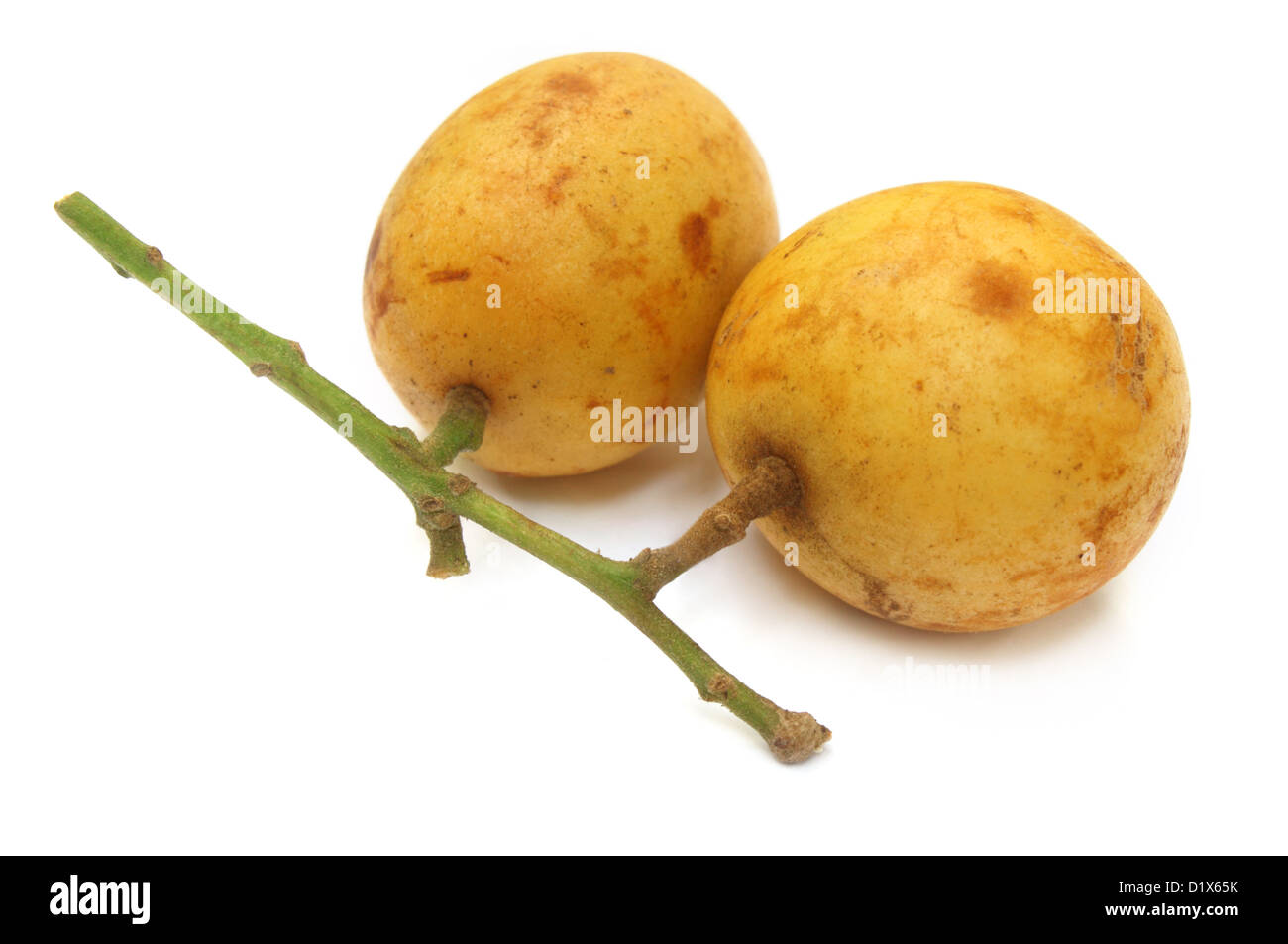 Burmese grapes or lotkon fruits of Indian subcontinent Stock Photo - Alamy