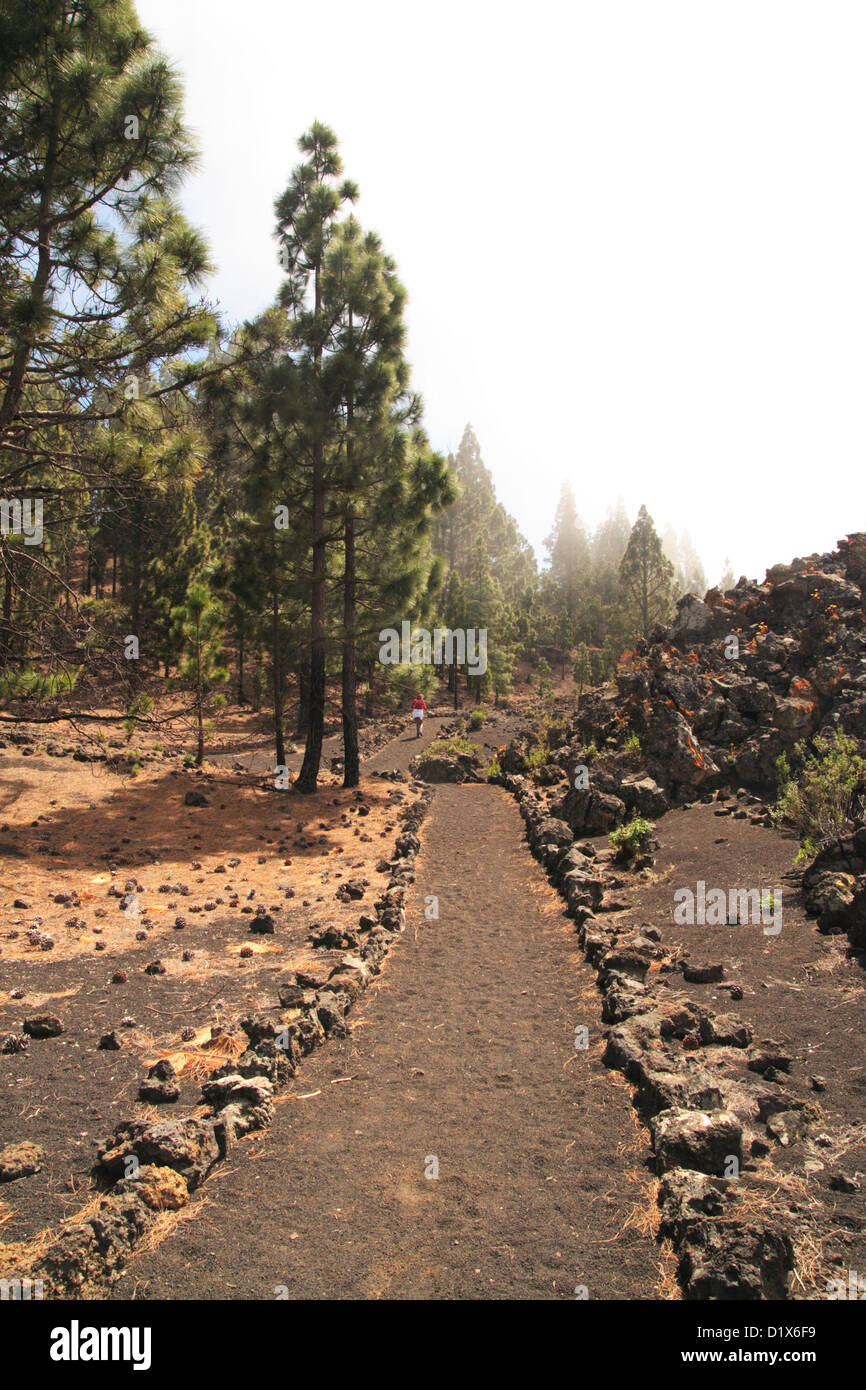 World heritage Natural Park Mount Teide in Tenerife island (spain Stock ...