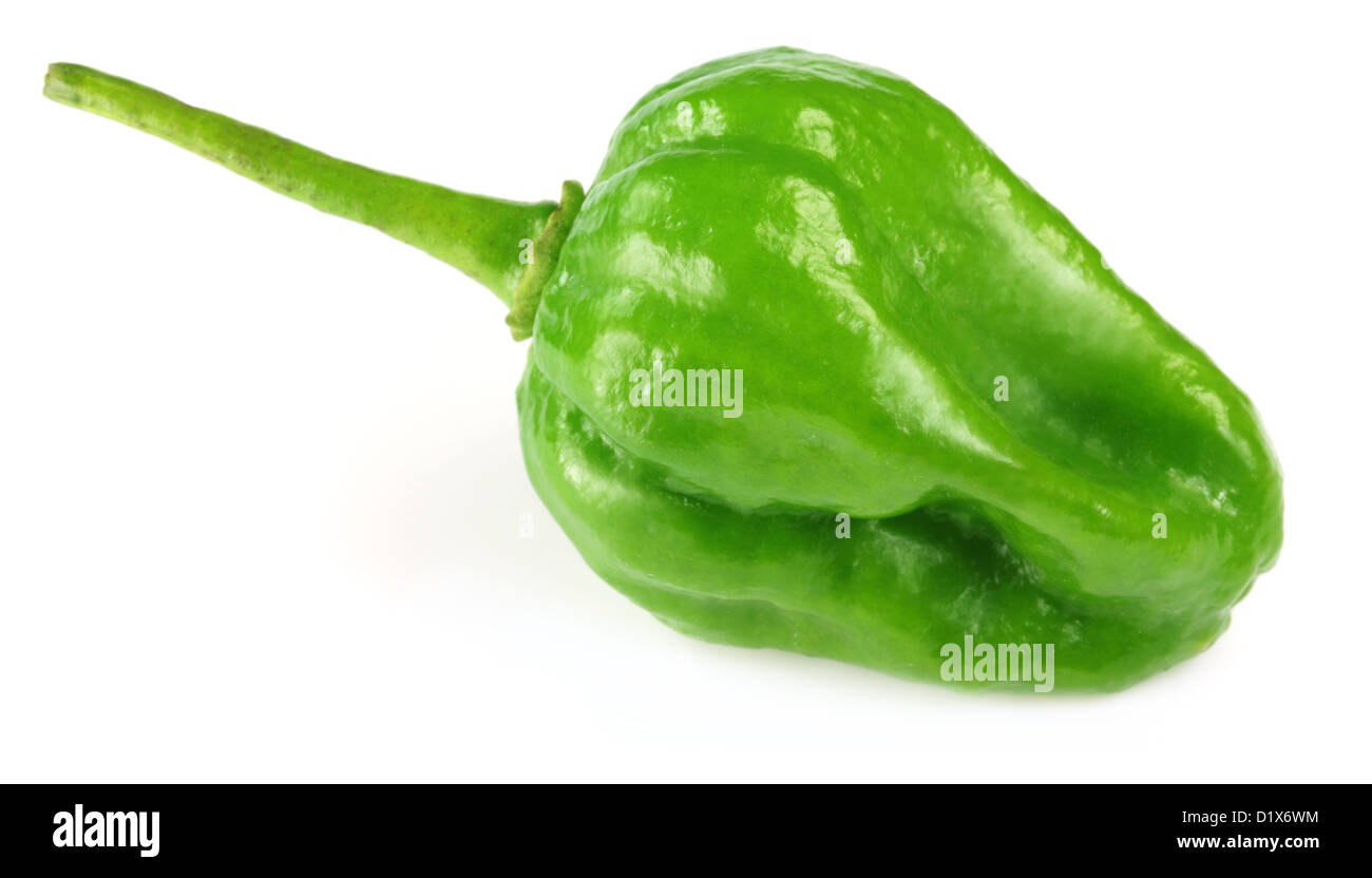 Ghost jolokia Cut Out Stock Images & Pictures - Alamy