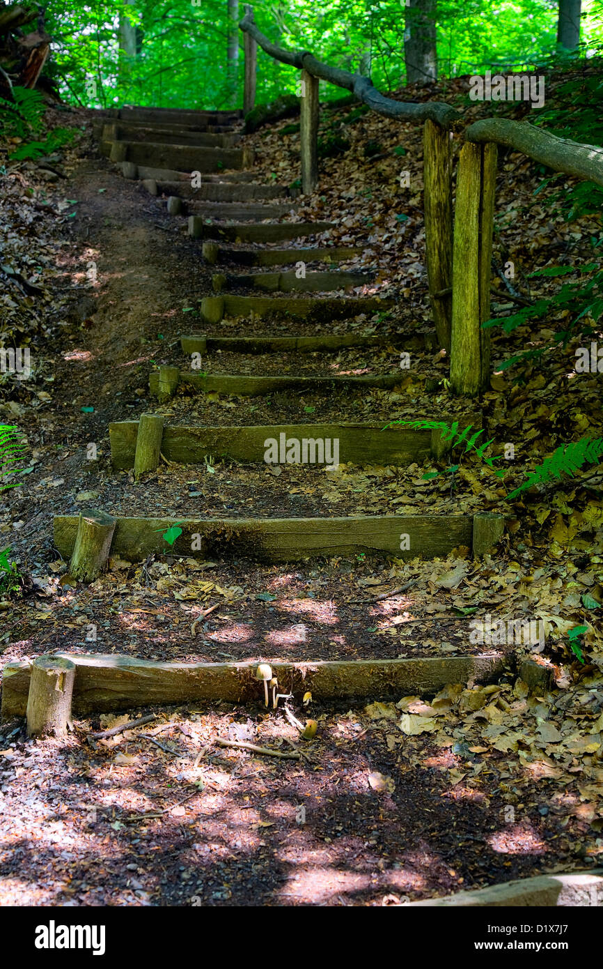 Earth wooden steps on footpath hi-res stock photography and images - Alamy