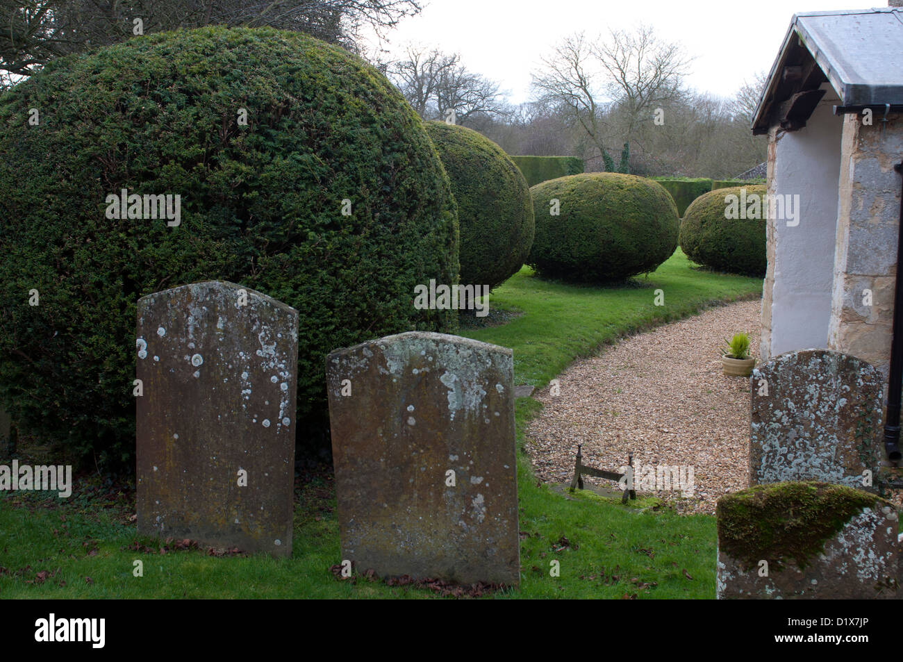 Clipped yew trees, St. John the Evangelist churchyard, Radclive ...
