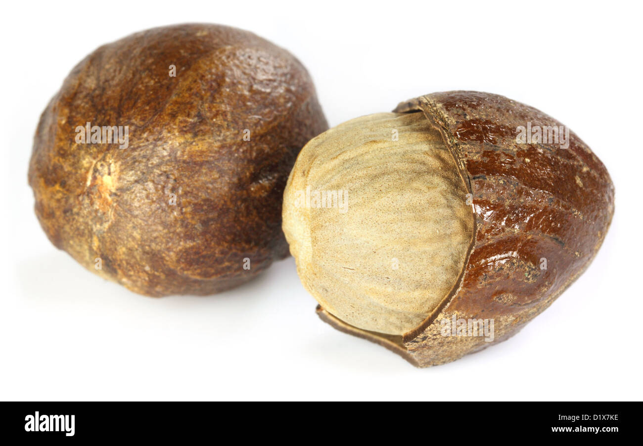 Nutmeg or Jaifal Spice over white background Stock Photo - Alamy