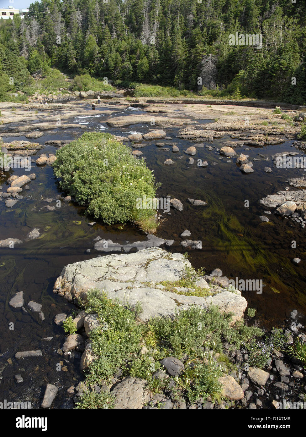 Conception bay south hi-res stock photography and images - Alamy