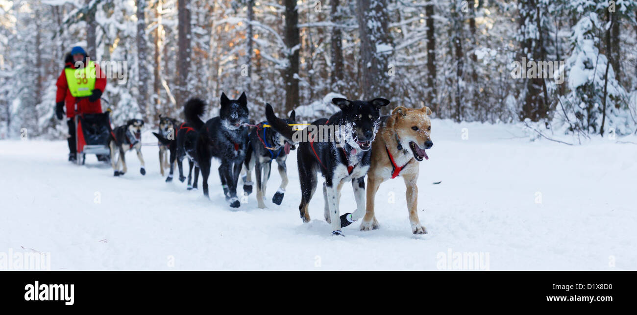 A competitor in the White Oak Sled Dog Classic makes his way through ...