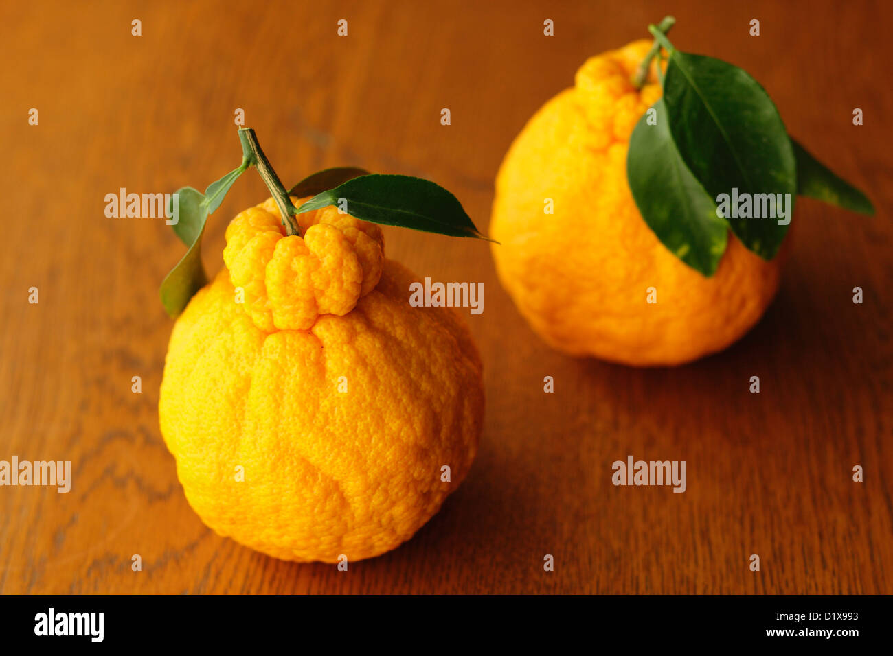 Dekopon [citrus fruit] hi-res stock photography and images - Alamy