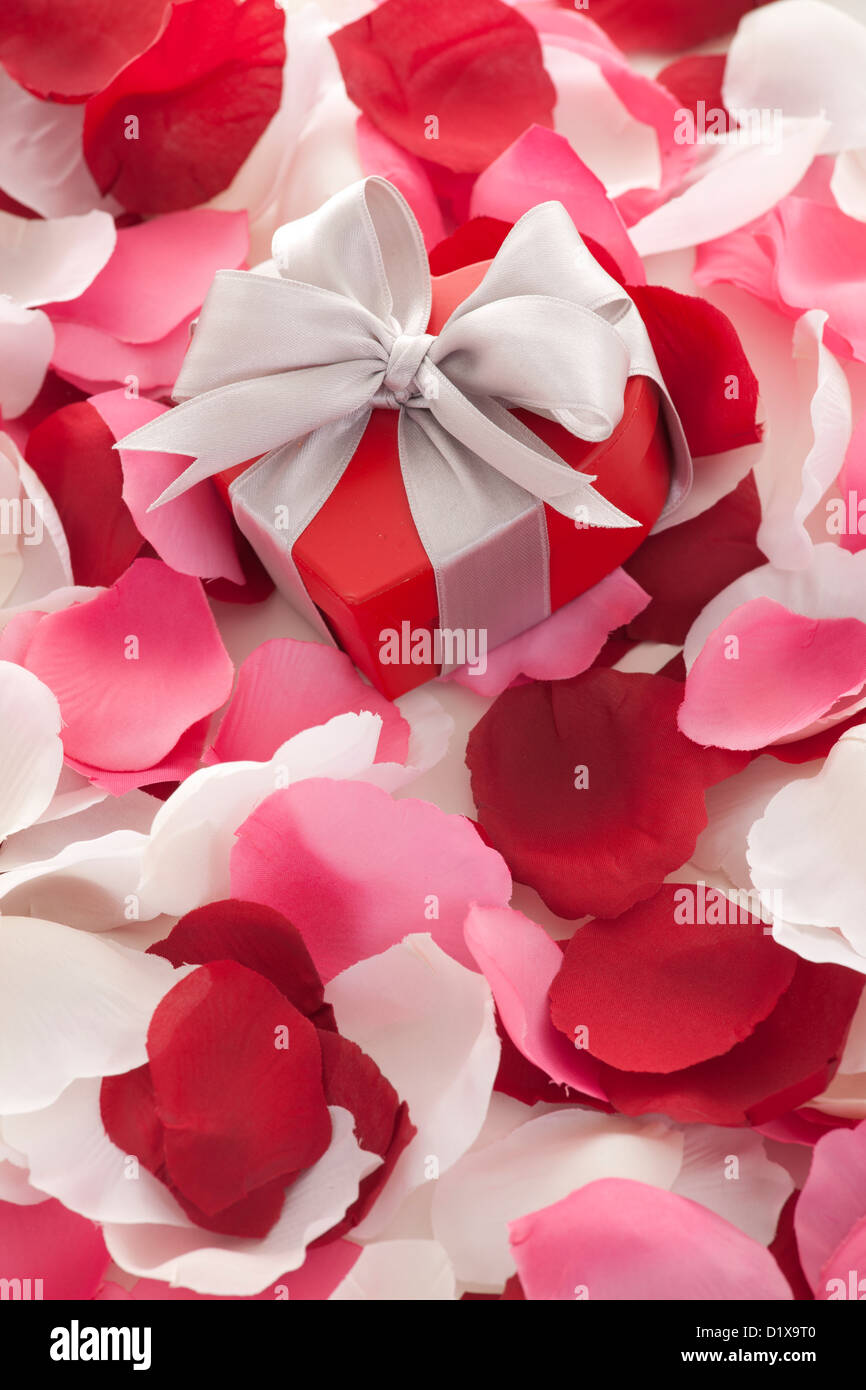 Valentines Day gift in red box with rose petal isolated on white Stock ...