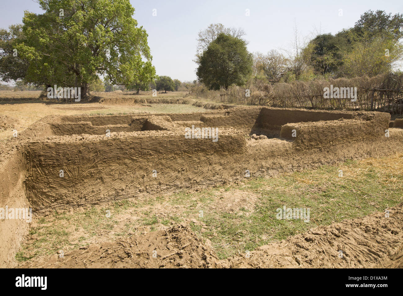 Gond, India High Resolution Stock Photography and Images - Alamy