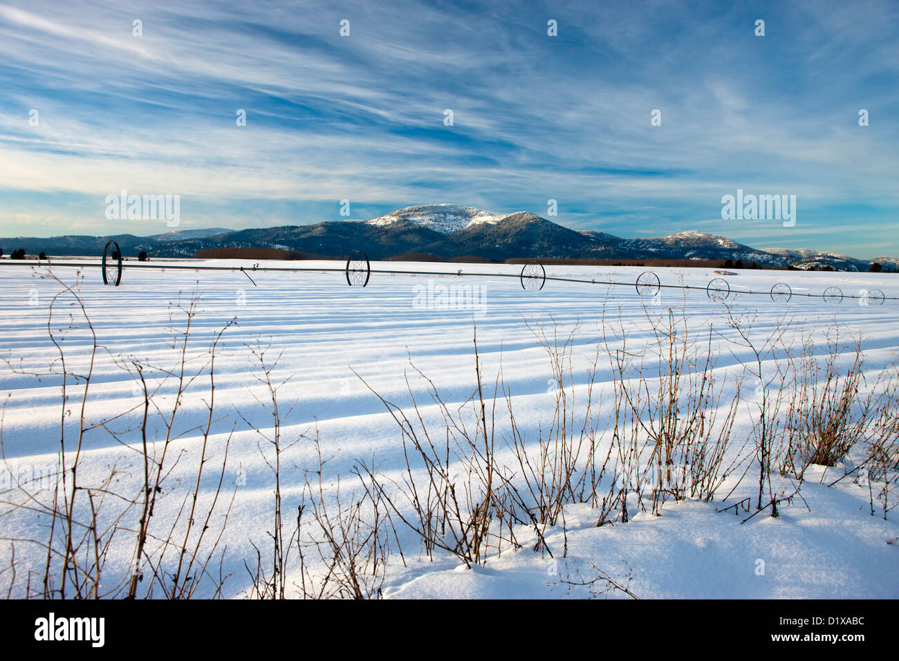 A snow covered farm field with an irrigation pipe and wheels on the ...