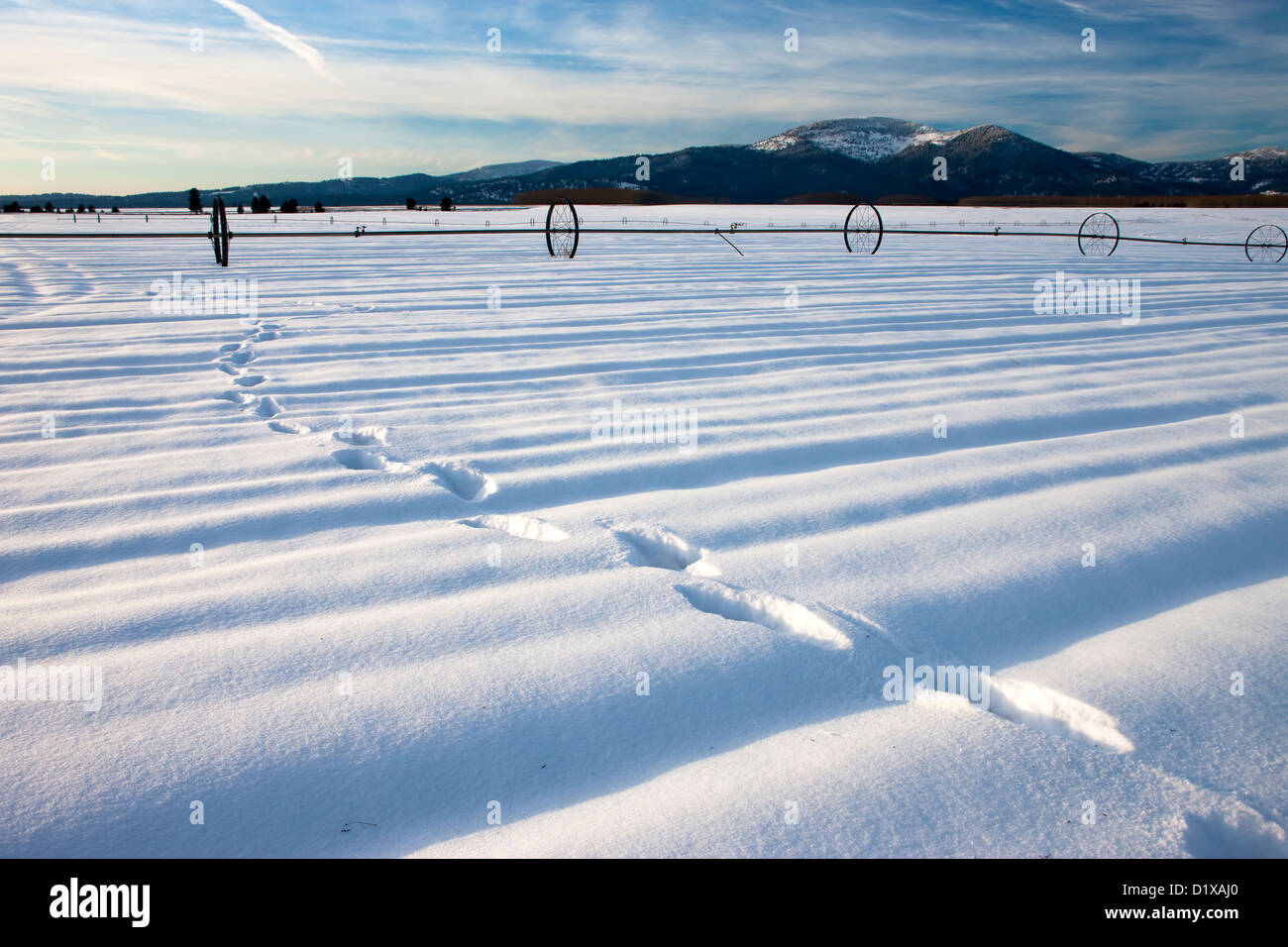 Rathdrum prairie hi-res stock photography and images - Alamy