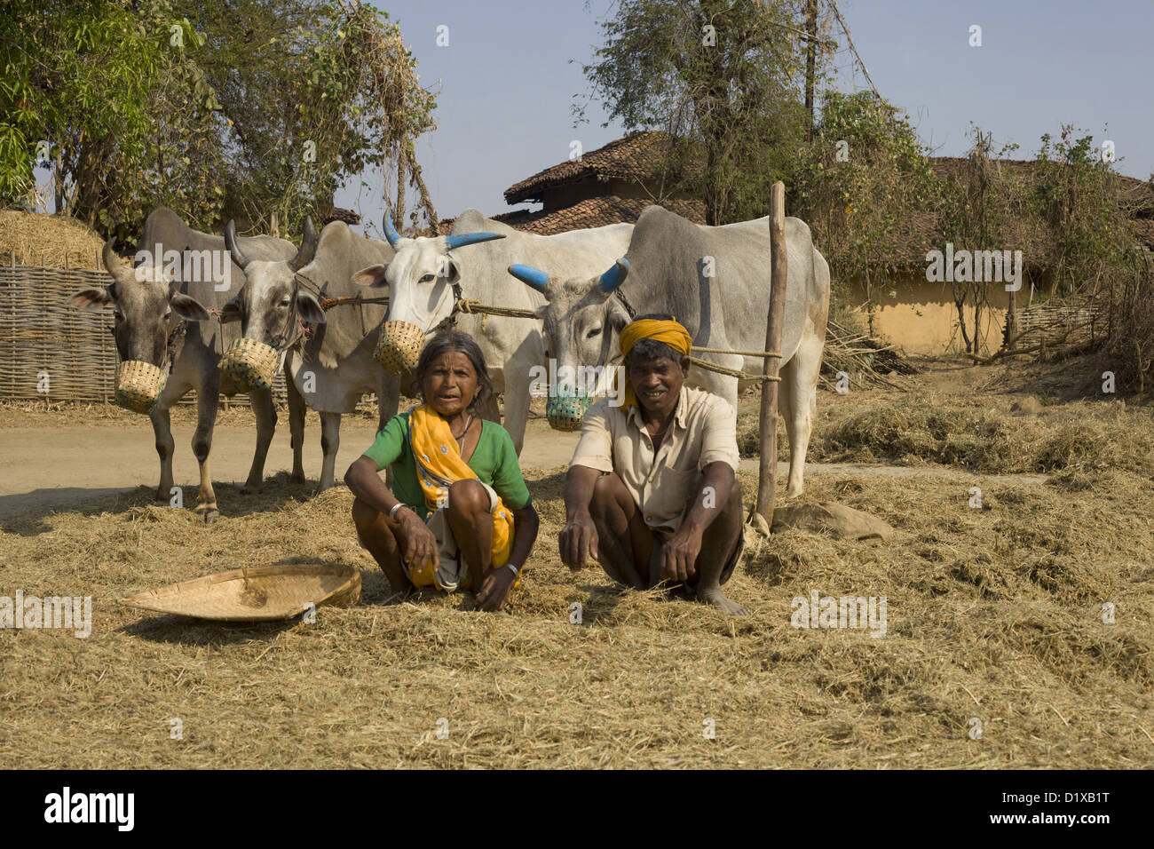 Tribal couple, Gond tribe, Gadchiroli, Maharashtra, India Stock Photo ...