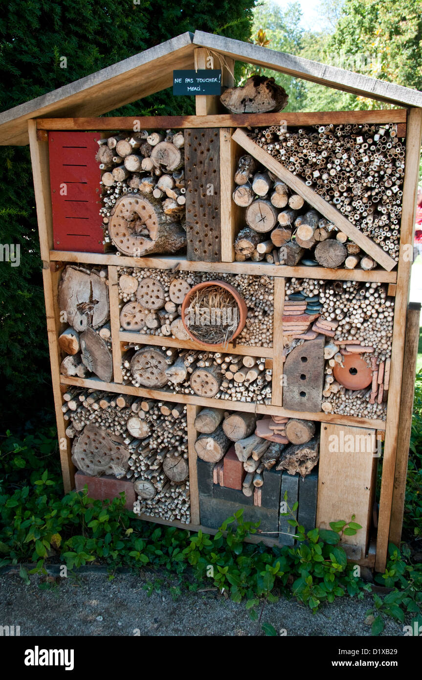 Ladybug nest hi-res stock photography and images - Alamy