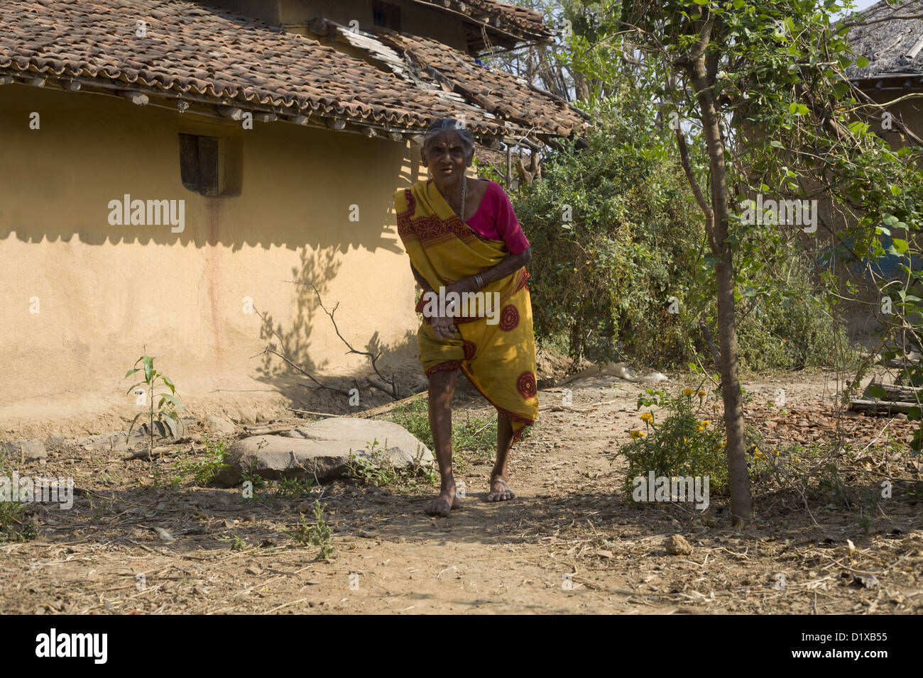 Gond tribe hi-res stock photography and images - Alamy