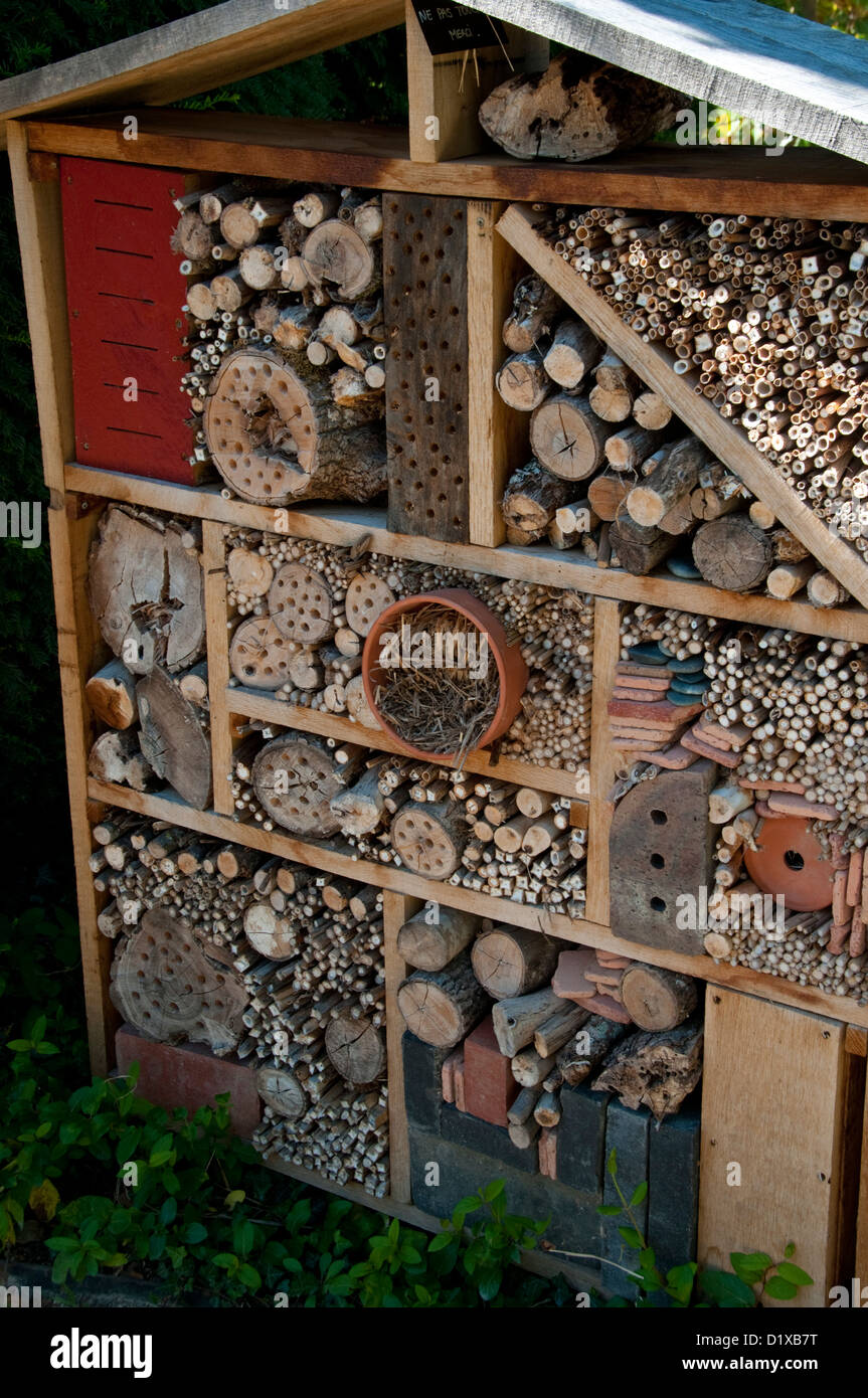 Ladybug nest hi-res stock photography and images - Alamy
