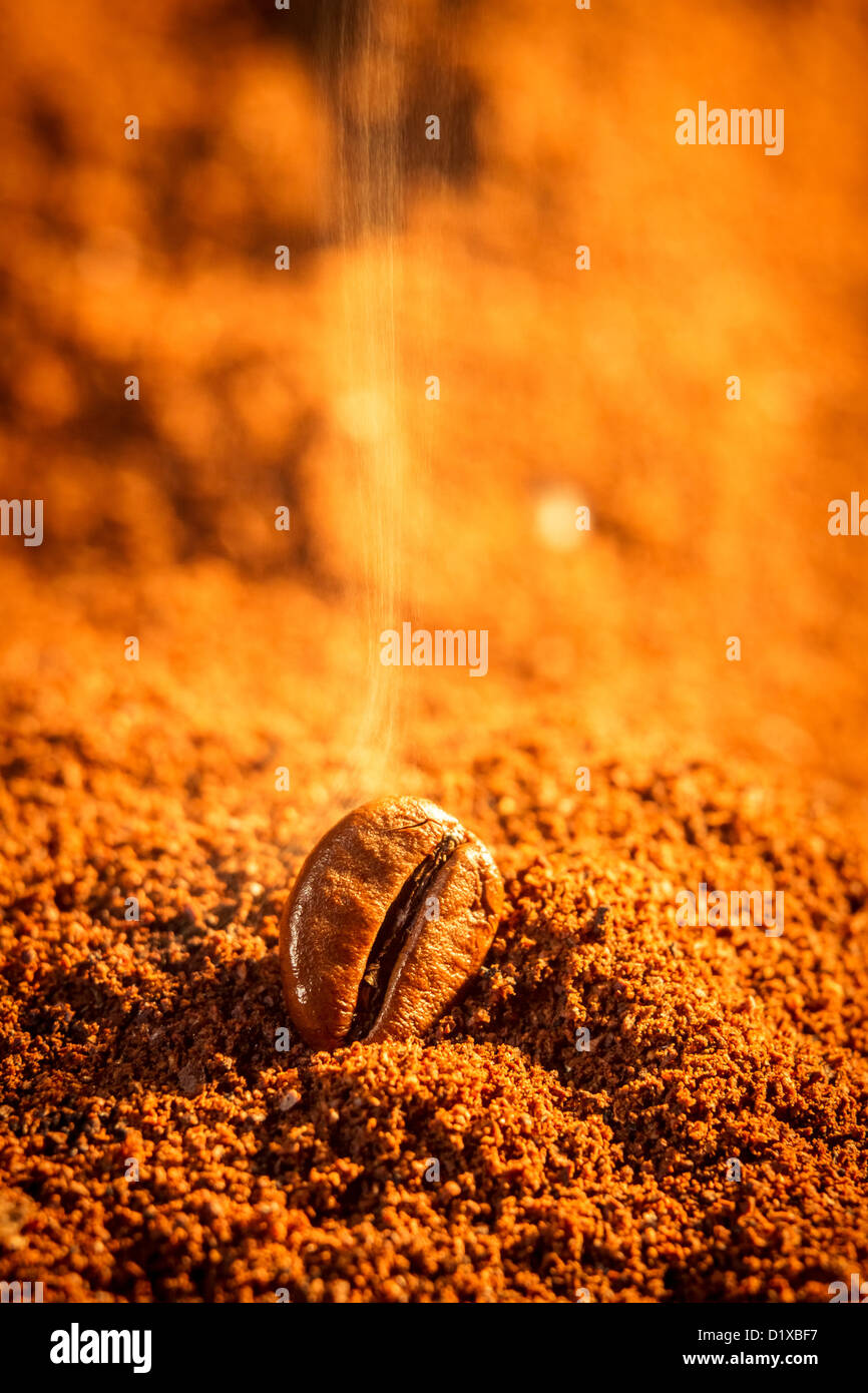 Roasted coffee smell good Stock Photo - Alamy