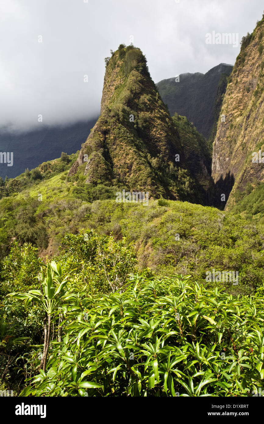 Maui's 'Iao Needle Stock Photo - Alamy