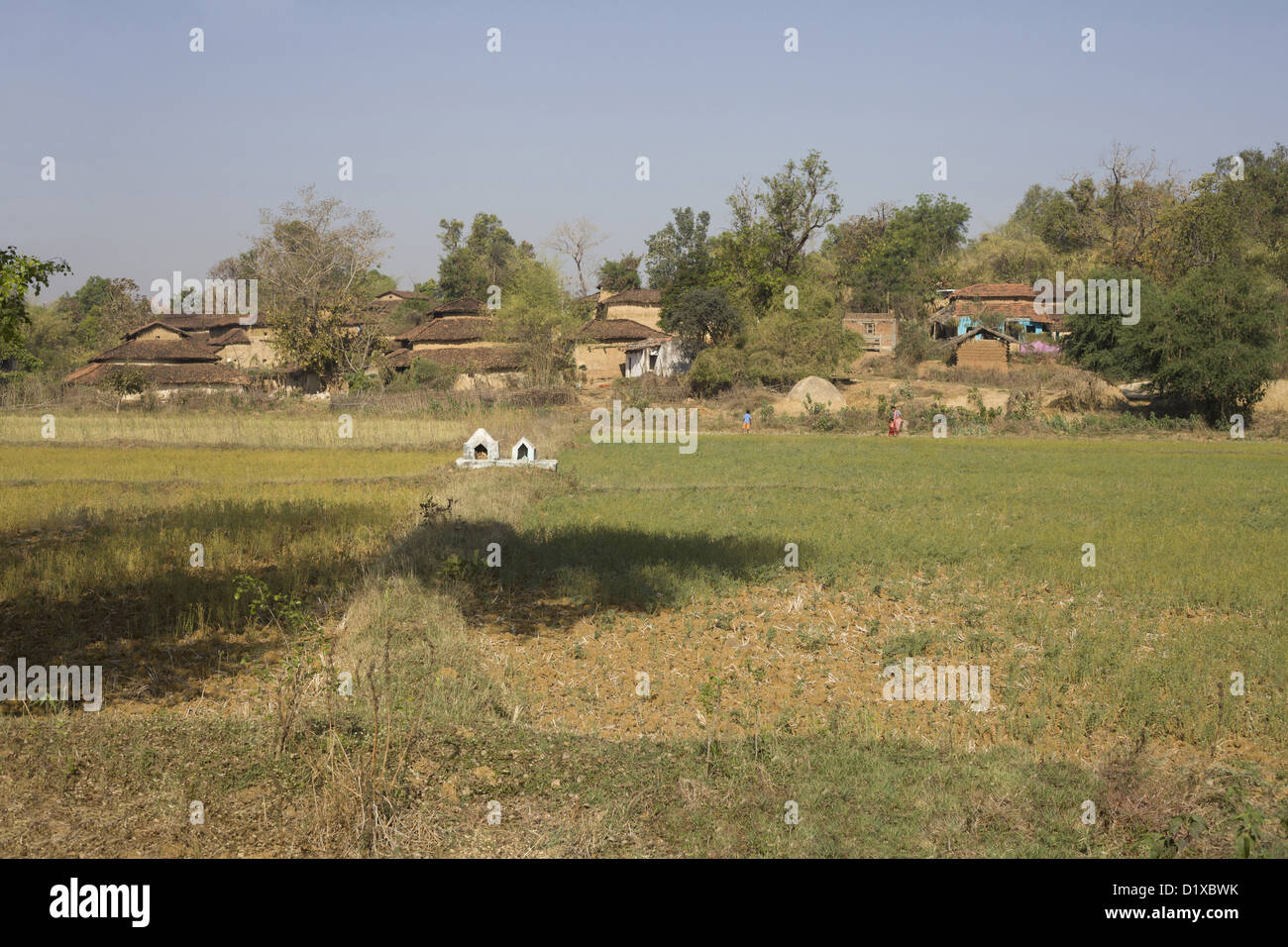 Gond village hi-res stock photography and images - Alamy