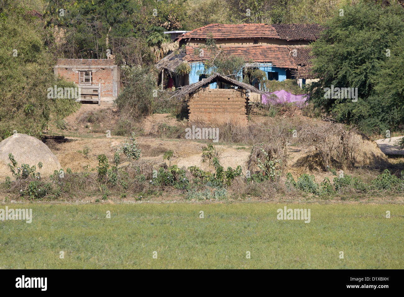 Gond village hi-res stock photography and images - Alamy