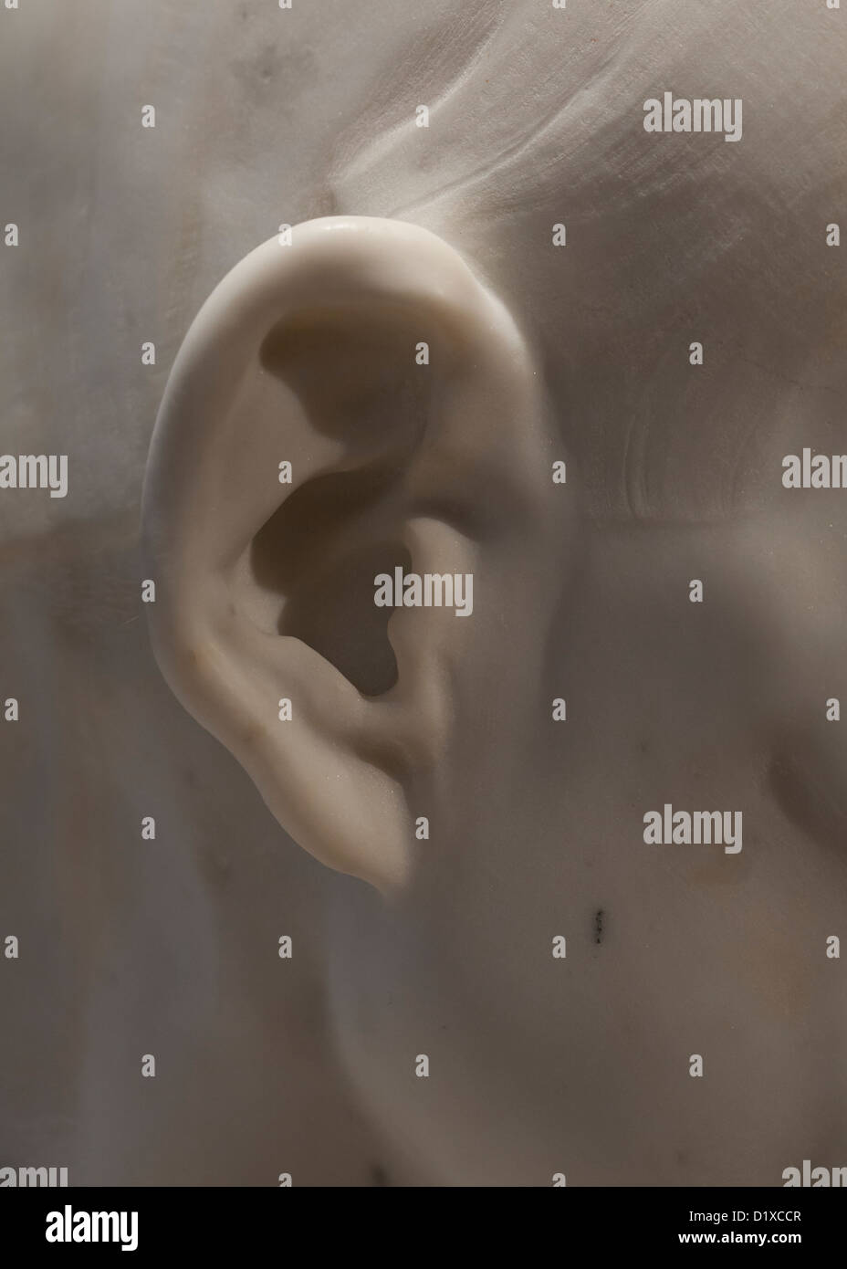 Right ear detail of marble sculpture Stock Photo - Alamy