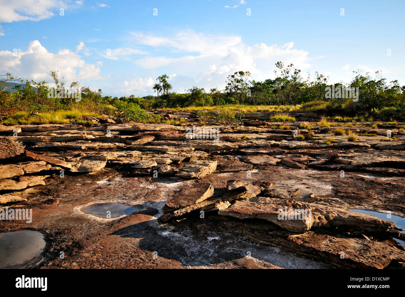Canaima national park, venezuela hi-res stock photography and images ...