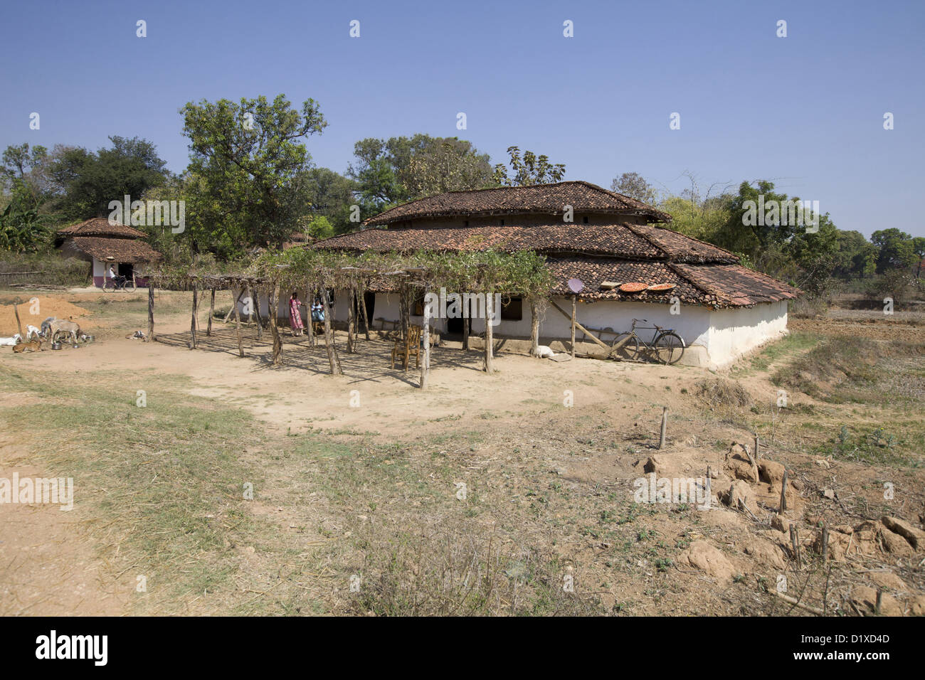 Gond Tribe Stock Photos & Gond Tribe Stock Images - Alamy