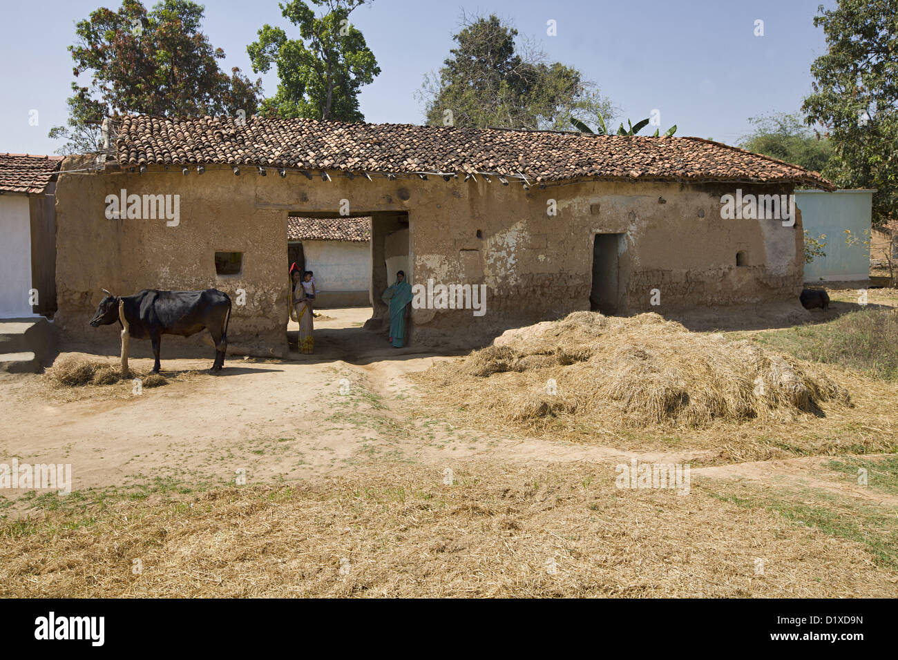 Typical mud house, Gond tribe, Gadchiroli, Maharashtra, India Stock ...