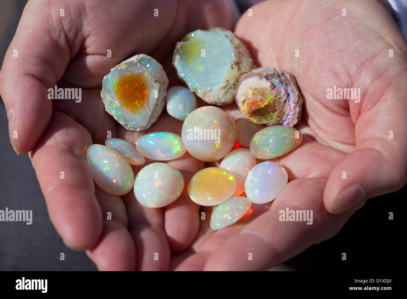 Feb 02, 2012 - Tucson, Arizona, U.S. - Opalinda, opals from Wallo ...