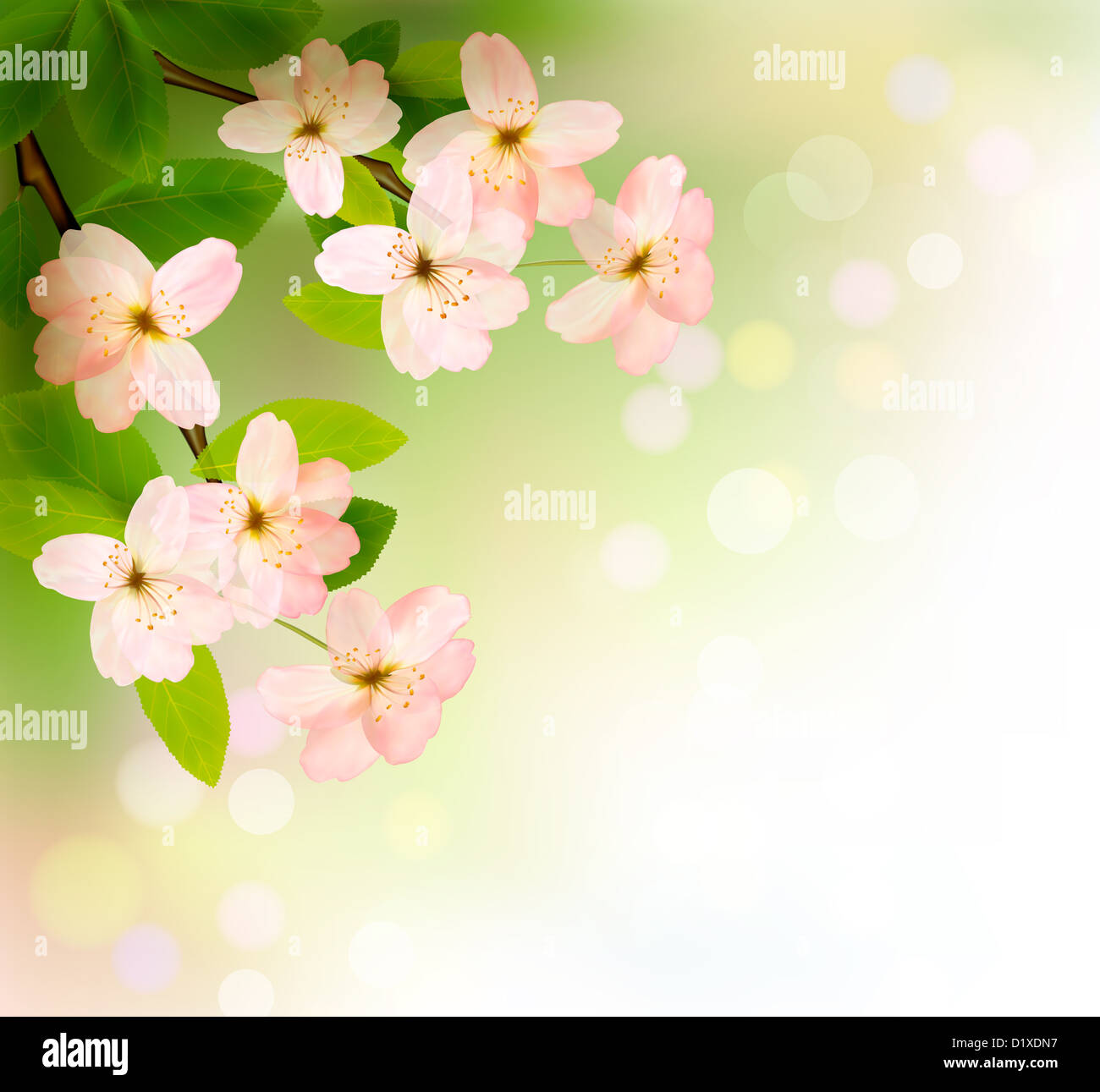 Spring background with blossoming tree brunch with spring flowers Stock ...