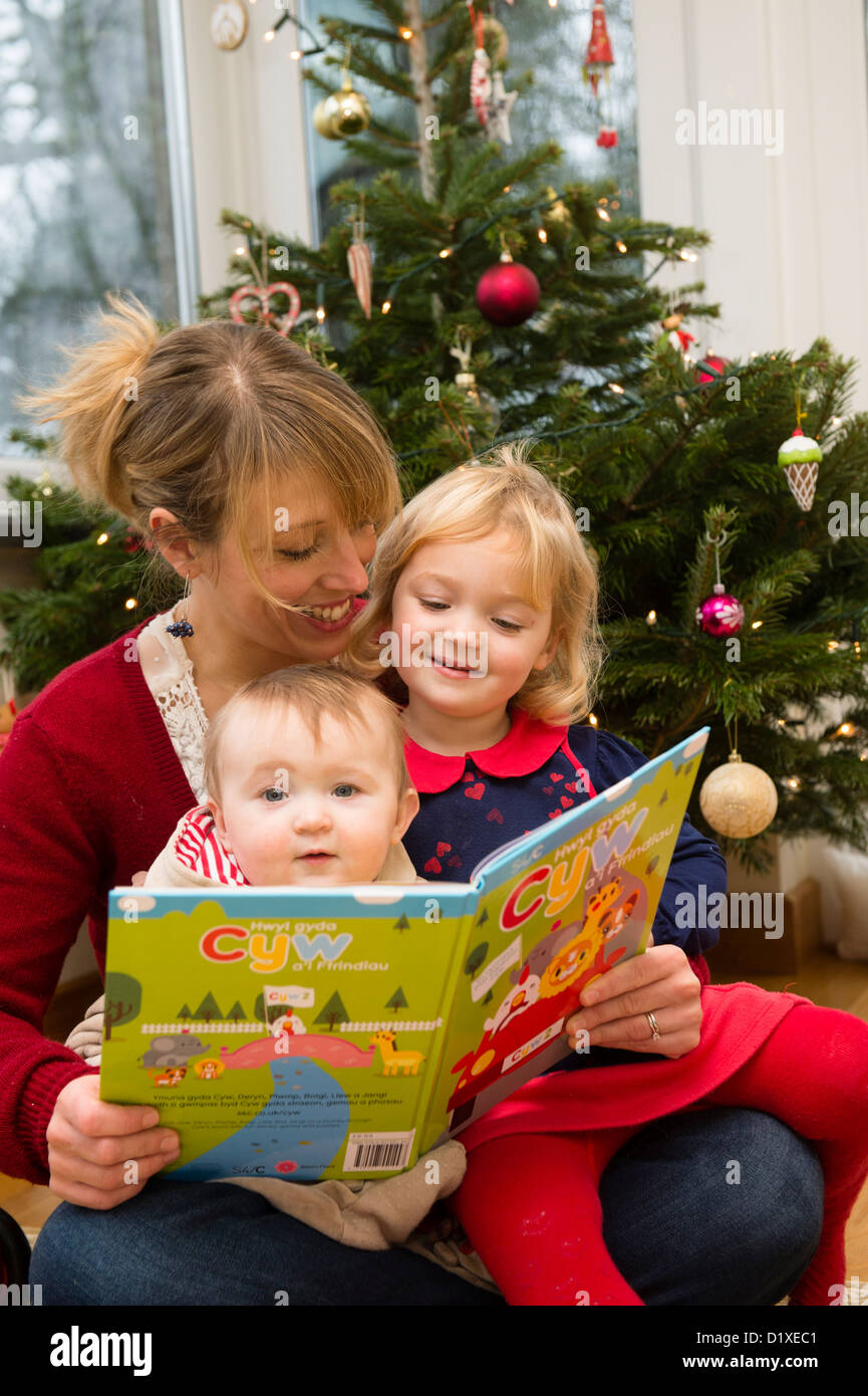 A young mother reading a welsh language book to her two small children ...