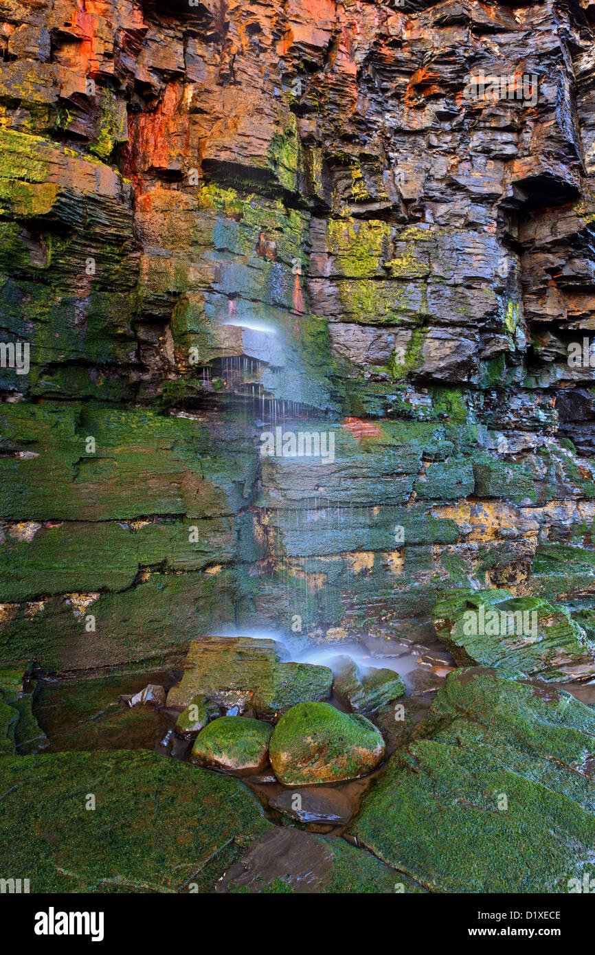 A small waterfall on the cliff face at Sandsend near Whitby in North ...
