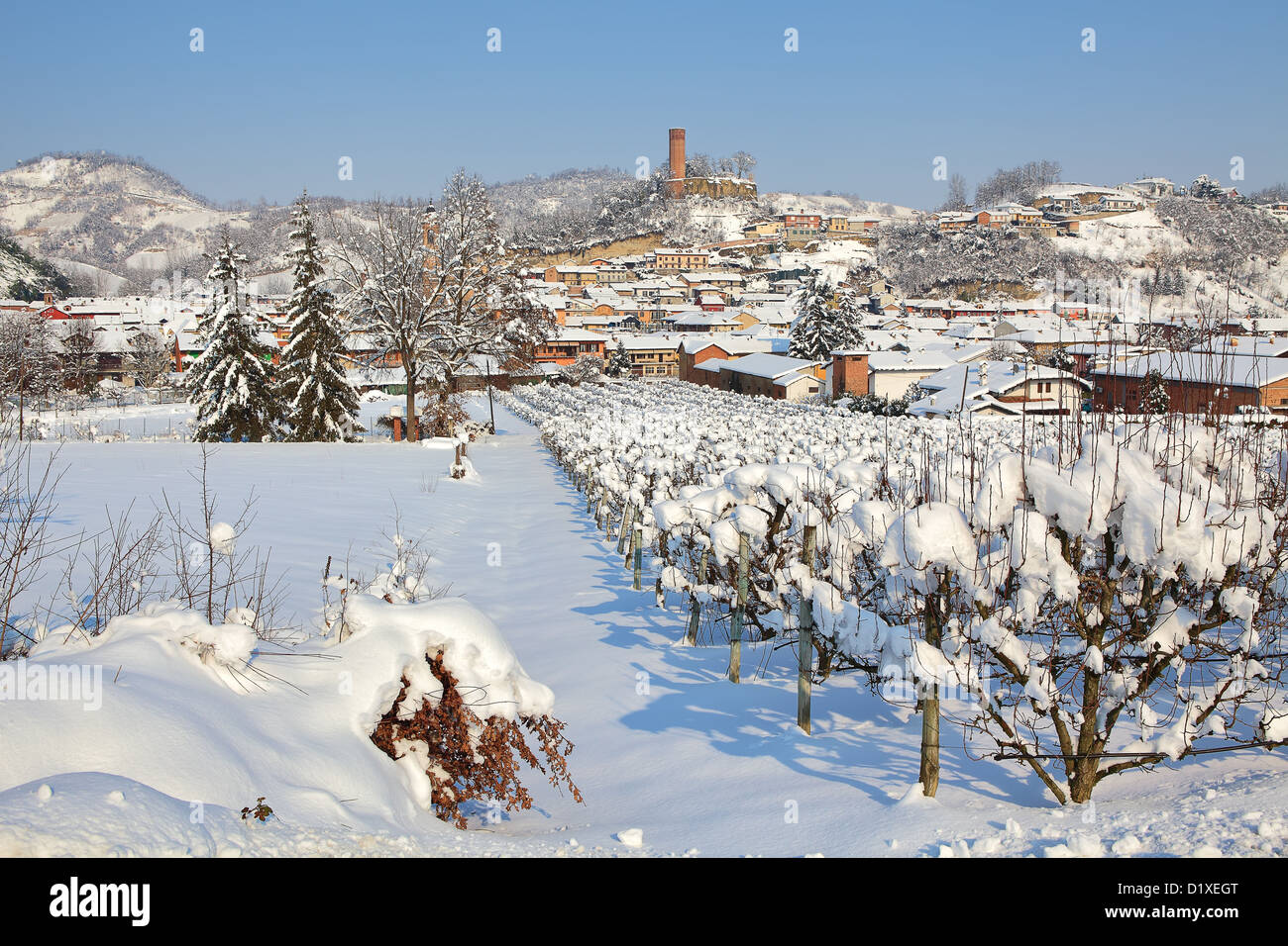 Vineyard field and small town with ancient tower on background covered ...