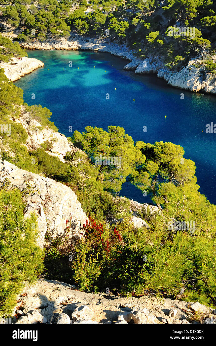 Calanques of Port Pin in Cassis in France near Marseille Stock Photo ...