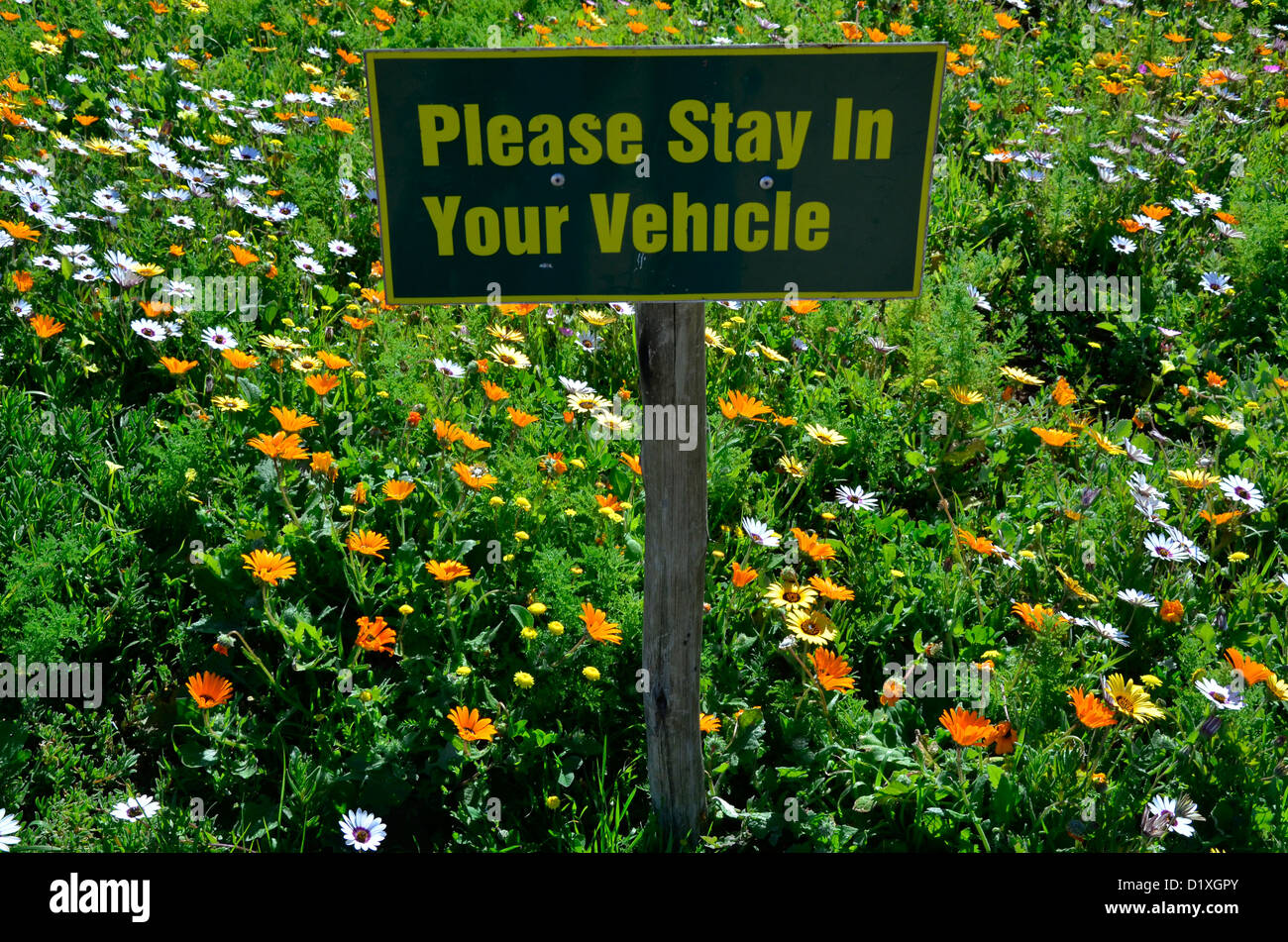 Please stay in your vehicle. Sign in West Coast National Park, South ...